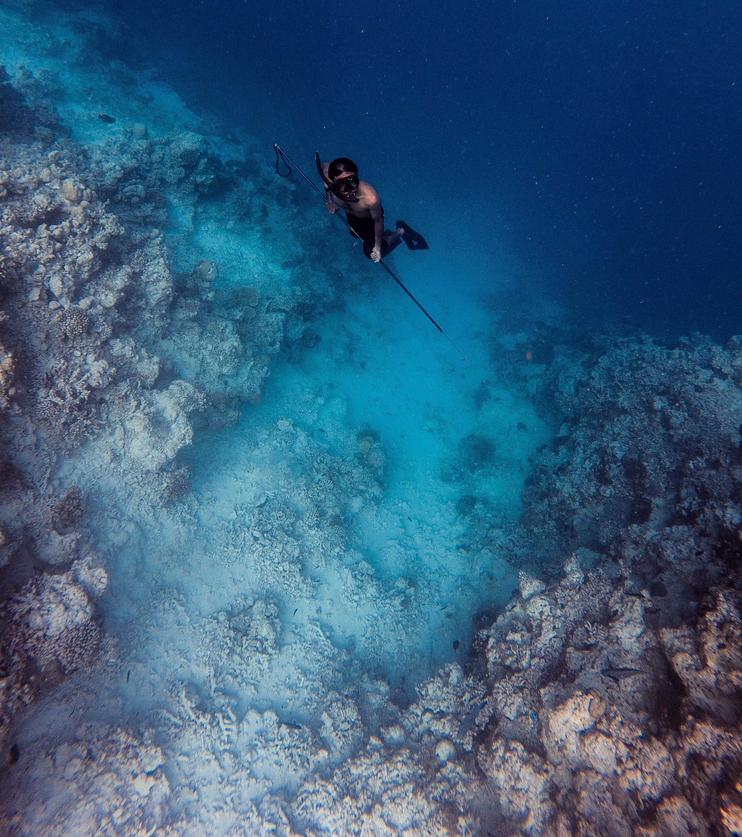 Men, Below, Extreme Sports, Exploration, Harpoon, Diving, Tropical ...