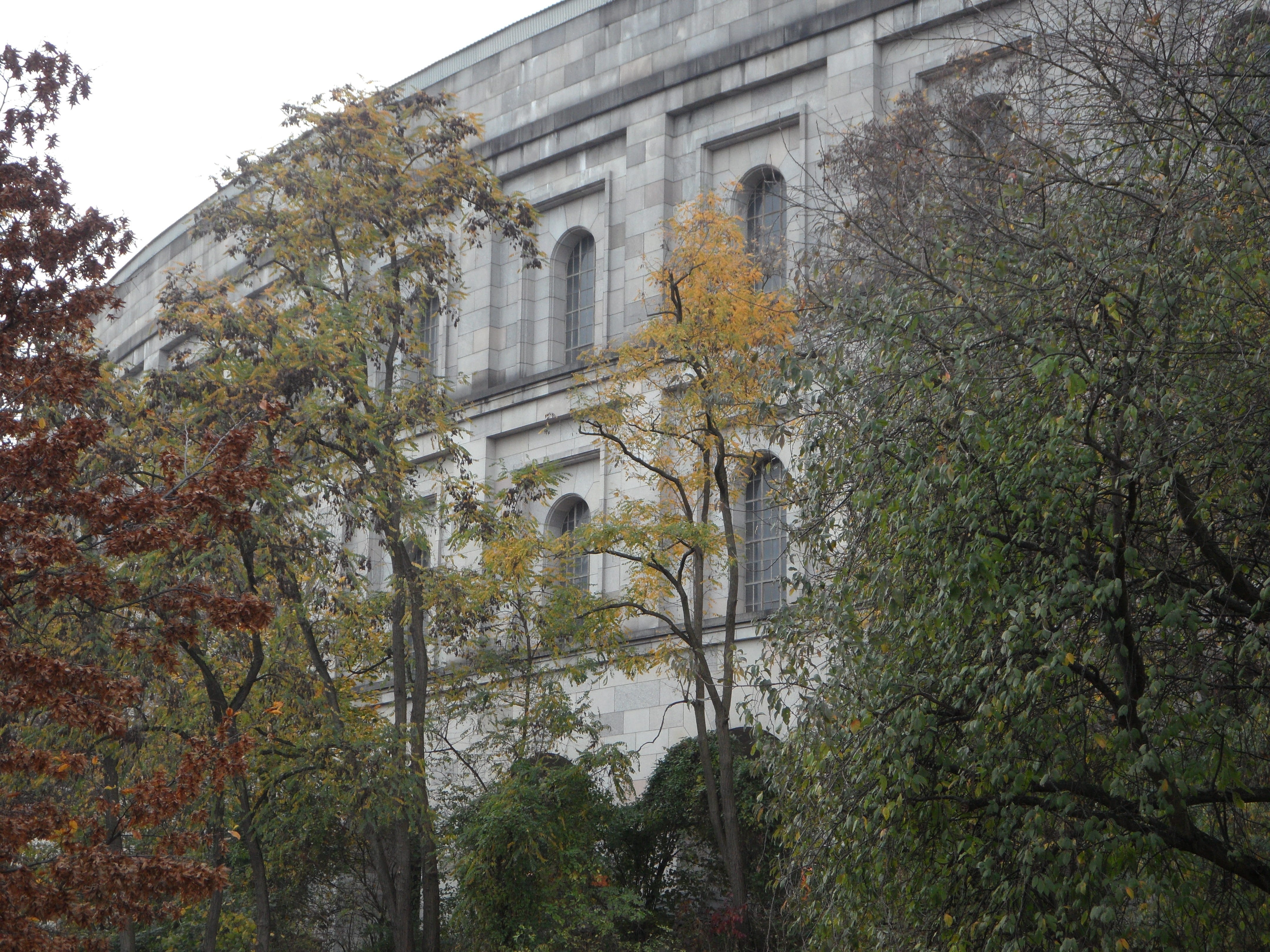 Reich, no people, plant, congress hall, autumn, Hitler, arch, history ...
