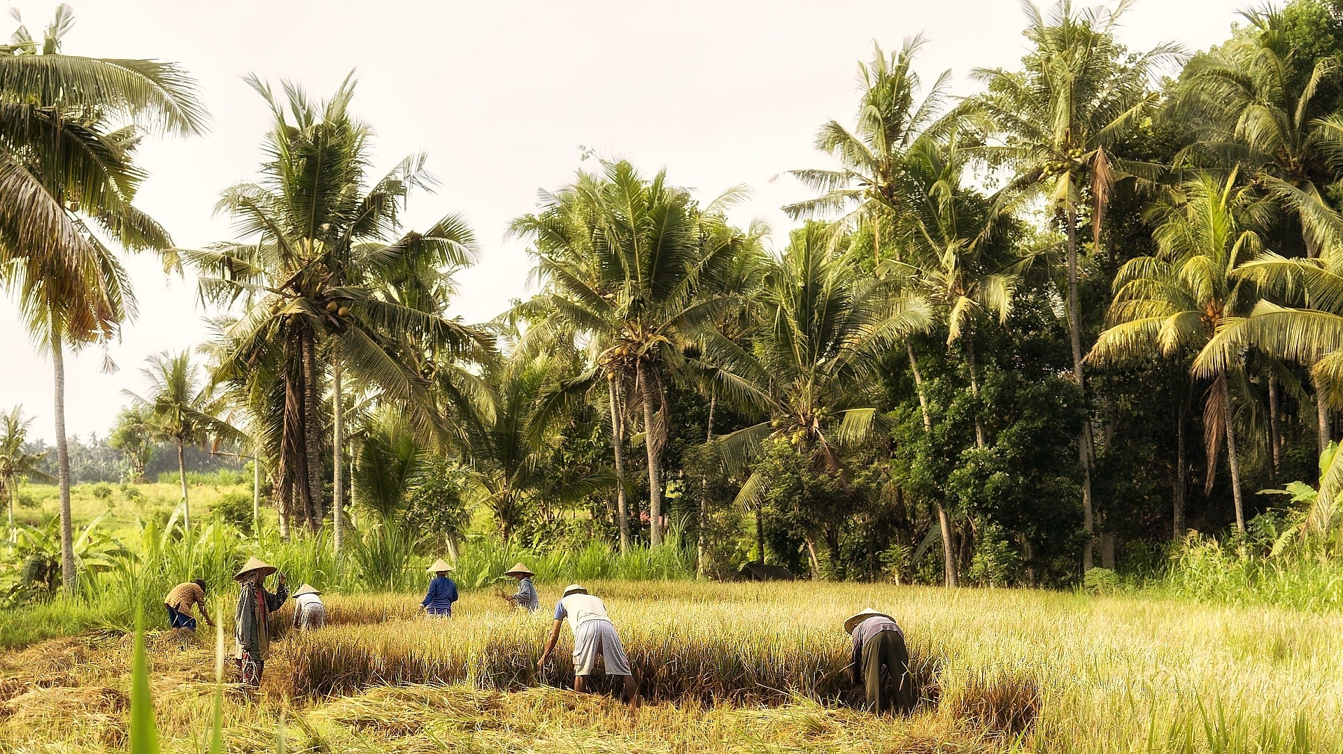 «fieldwork» HD Wallpapers