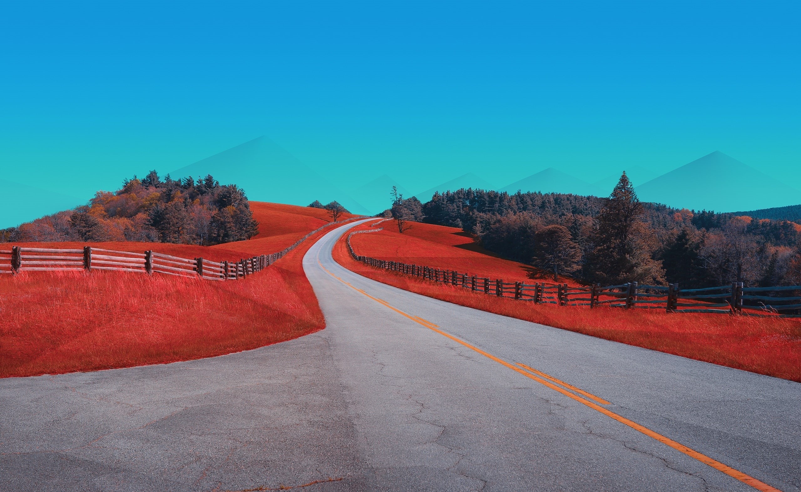 «polygons» HD Wallpapers