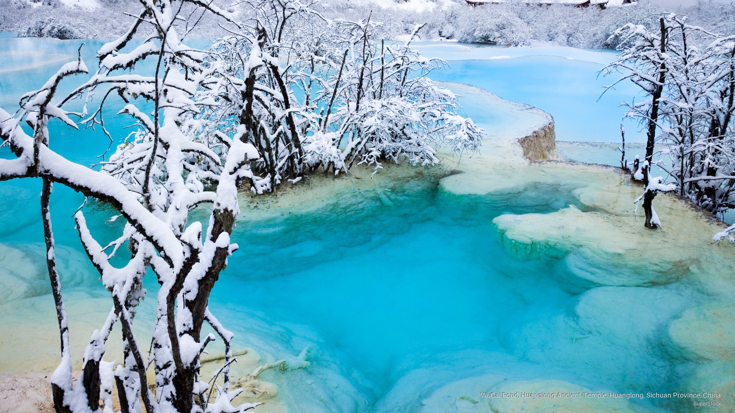 «wucai» HD Wallpapers