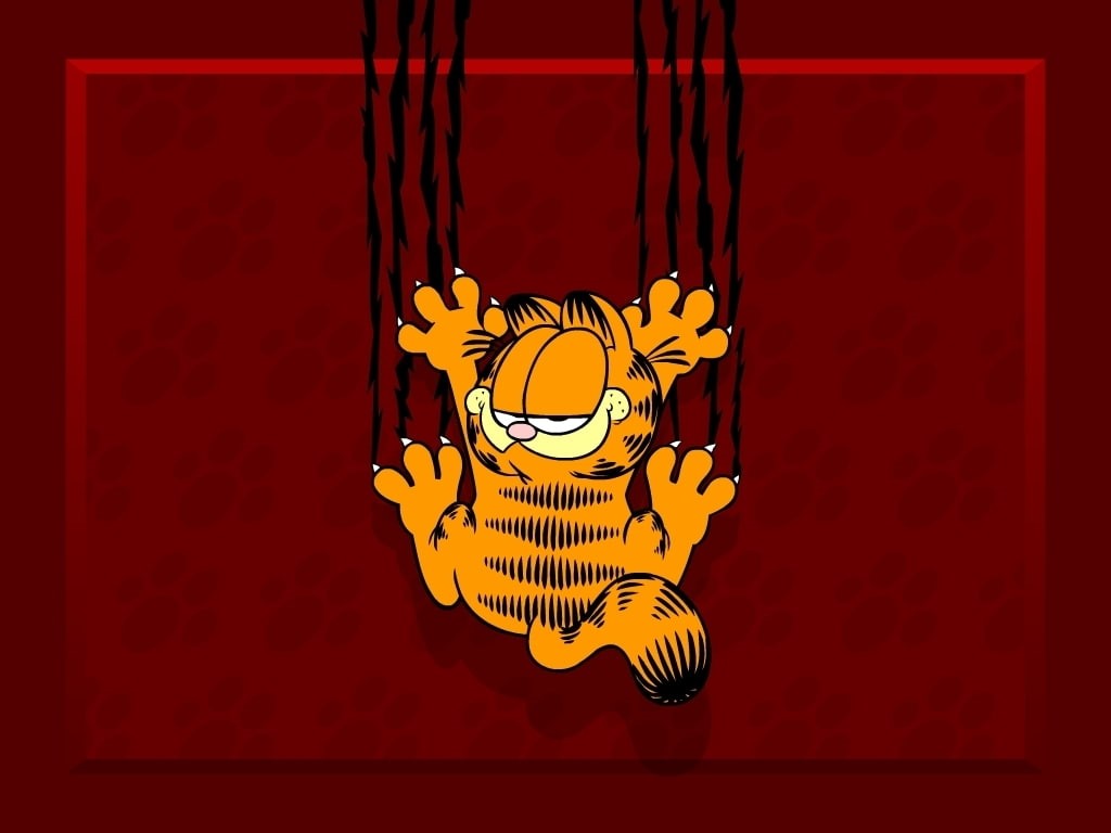 «Garfield» 1080P, 2k, 4k Full HD Wallpapers, Backgrounds Free Download ...