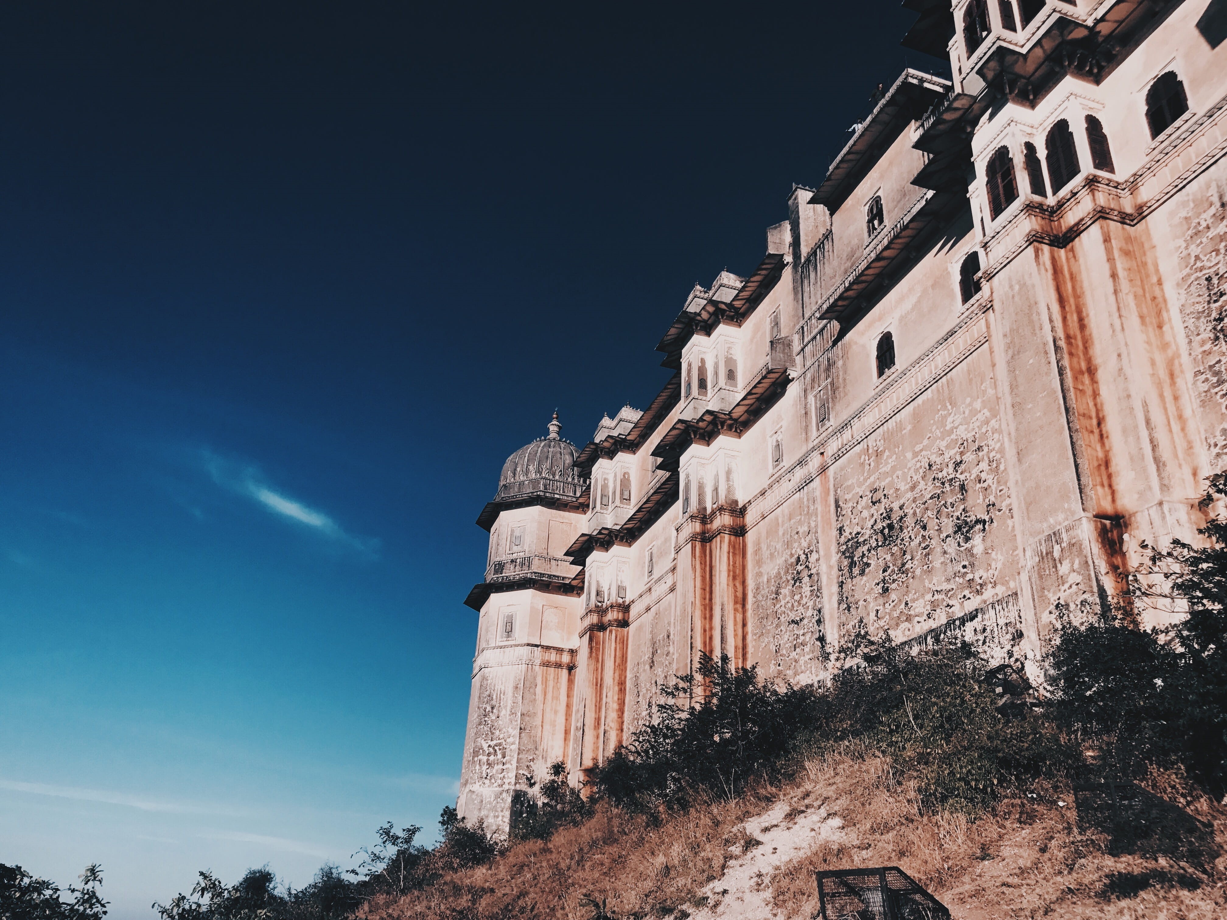 plant, castle, fort, history, nature, tree, day, tourism, green color ...