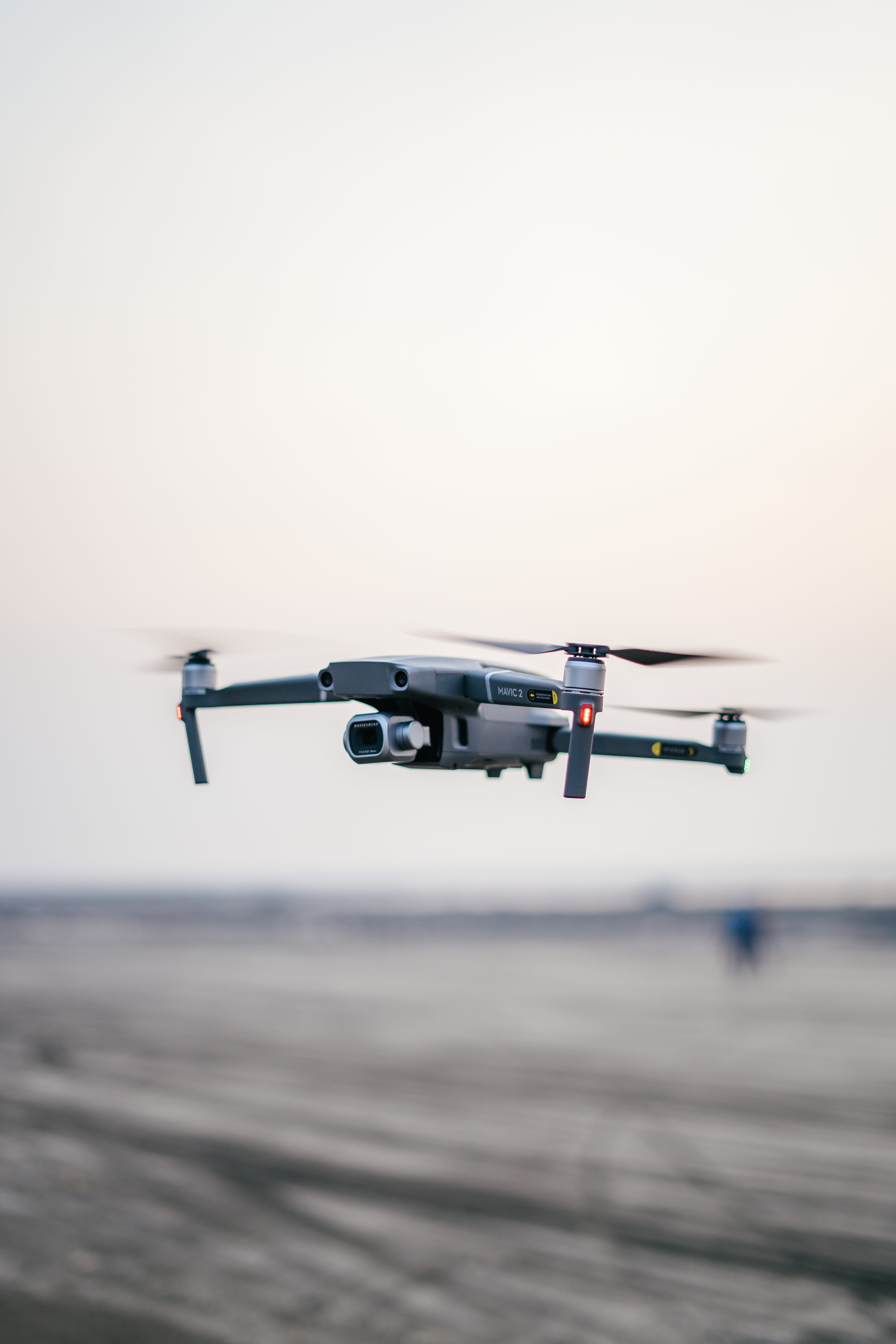 seagull, warplane, airport runway, airplane, on the move, focus on ...