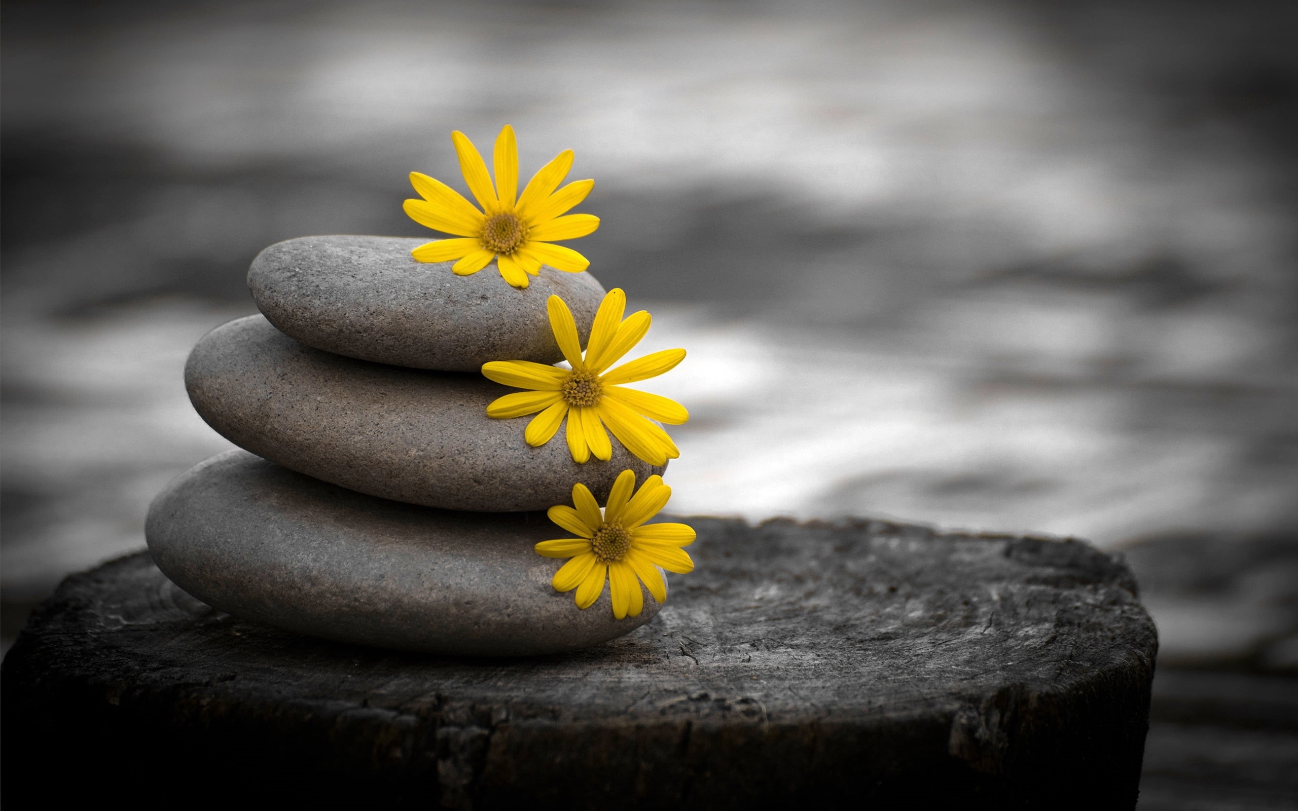 «STABILITY» HD wallpapers