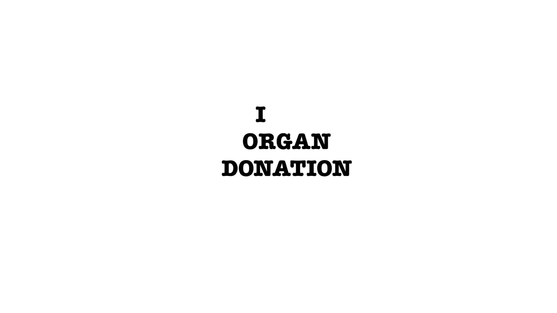 western script, humor, typography, minimalism, text, capital letter ...