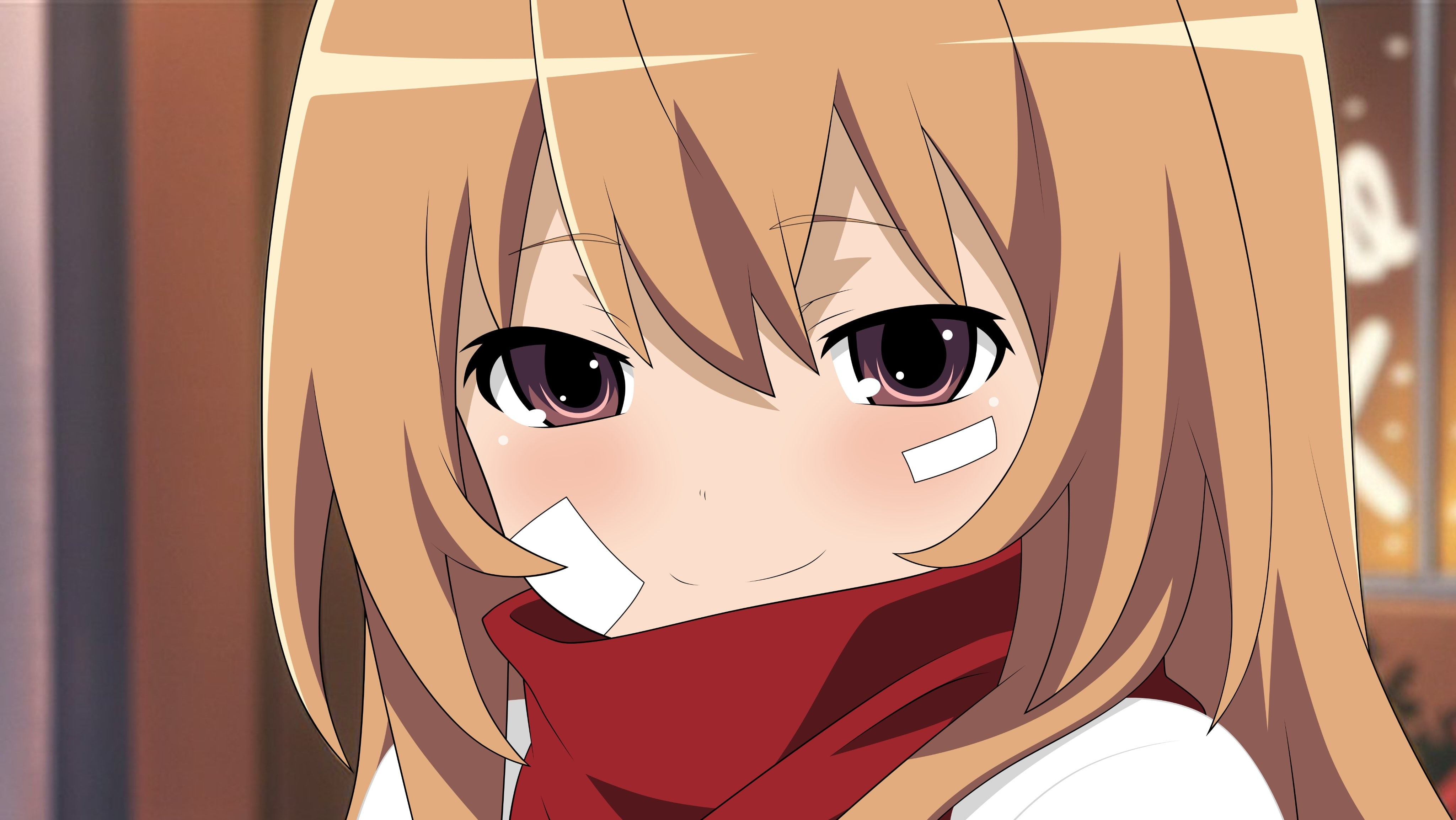«Aisaka Taiga» 1080P, 2k, 4k Full HD Wallpapers, Backgrounds Free ...