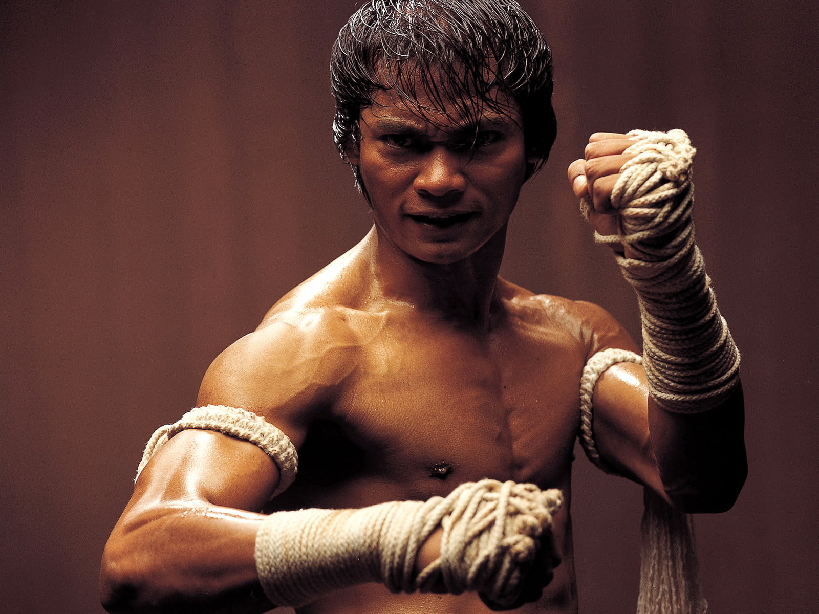 720P, ong bak, ong, arts, jaa, martial, tony, bak HD Wallpaper