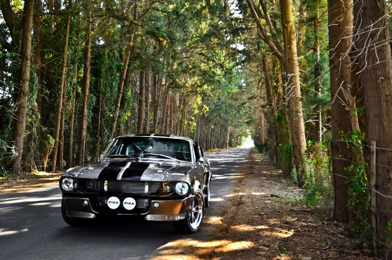 «eleanor» HD Wallpapers