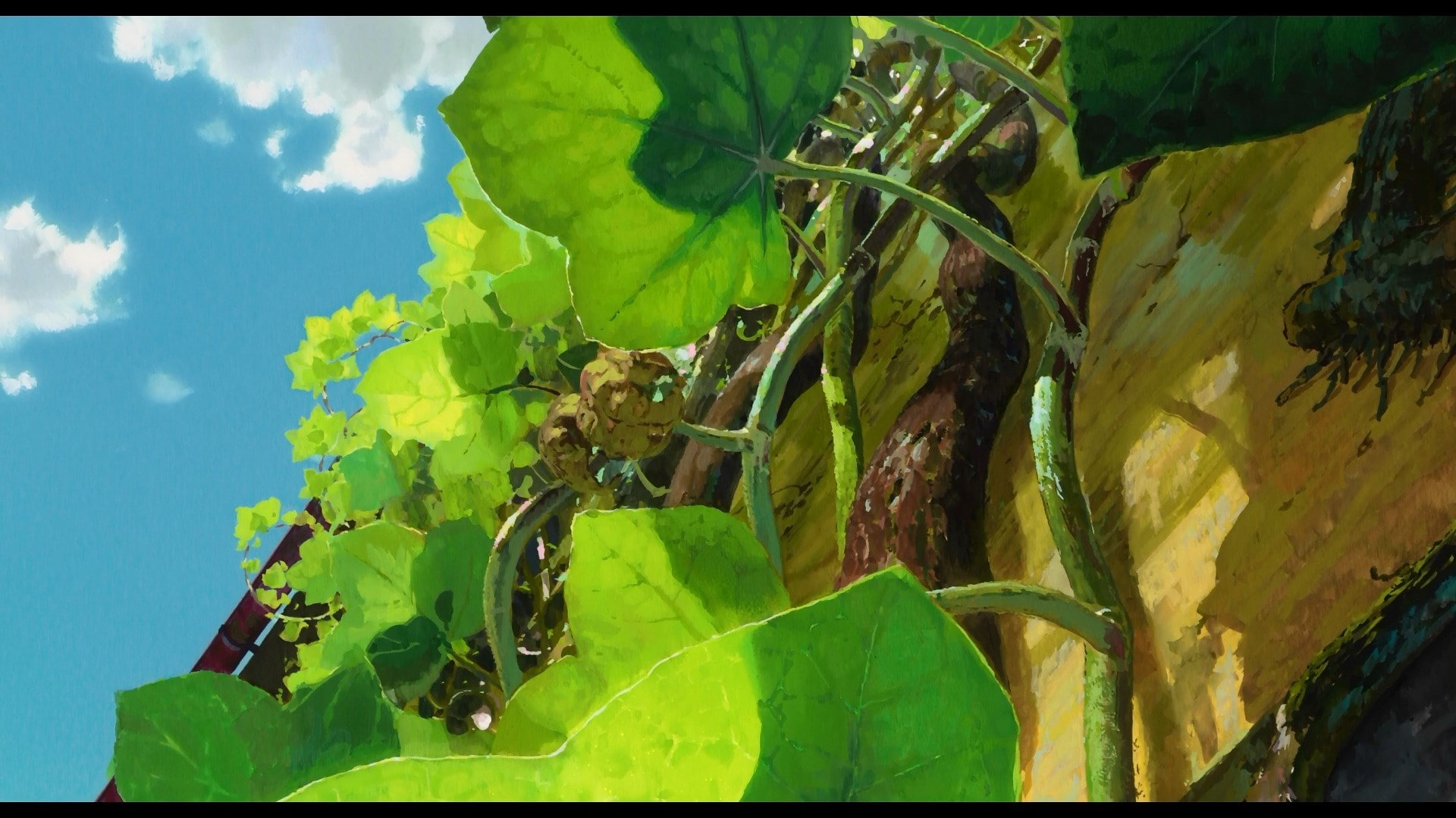 leaf, growth, day, built structure, no people, green, tree, the secret ...
