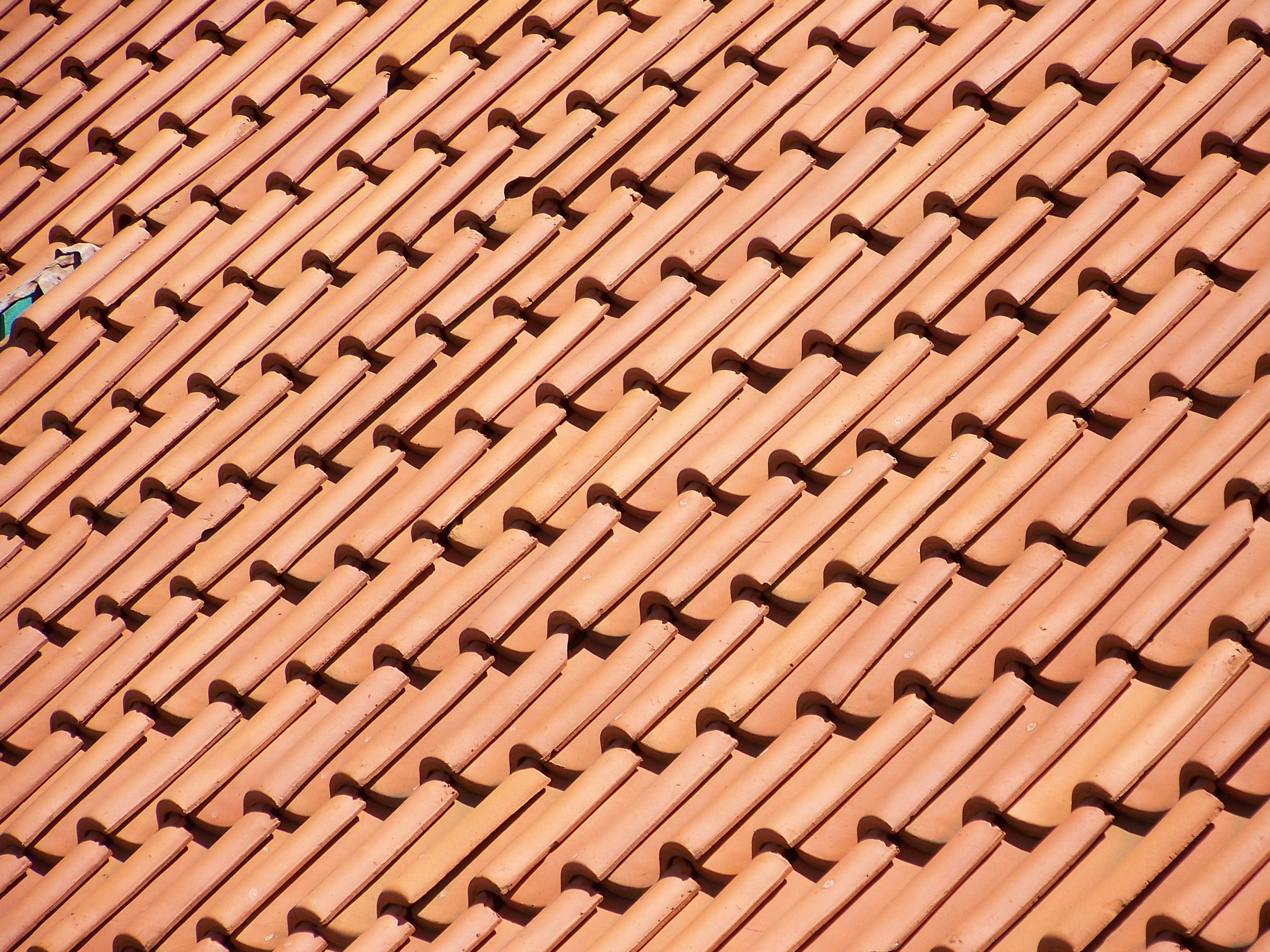 tile roof, ornate, structure, Tile, built structure, textured, material ...
