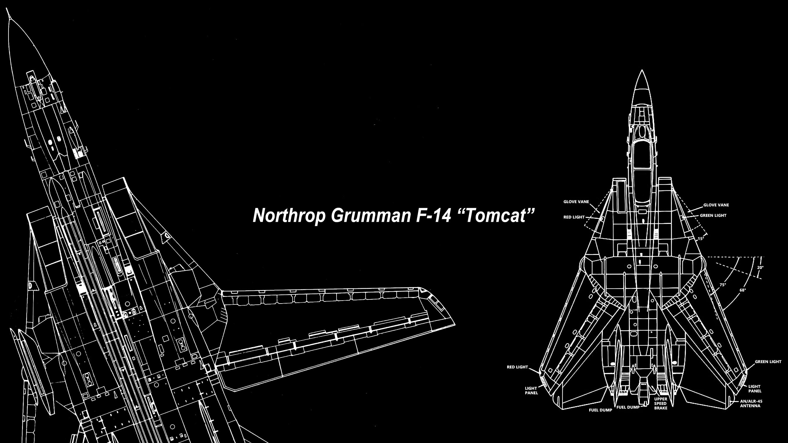 «F-14 Tomcat» 1080P, 2k, 4k Full HD Wallpapers, Backgrounds Free ...