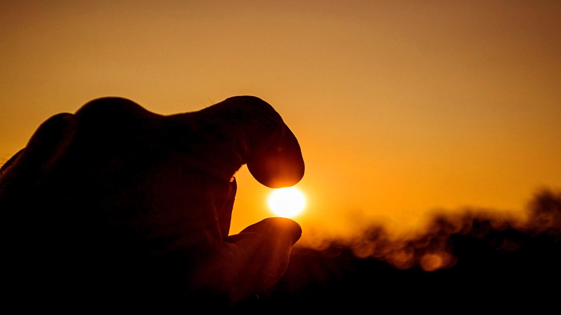 close-up, human hand, silhouette, sun, 1080P, body part, grab, moment ...