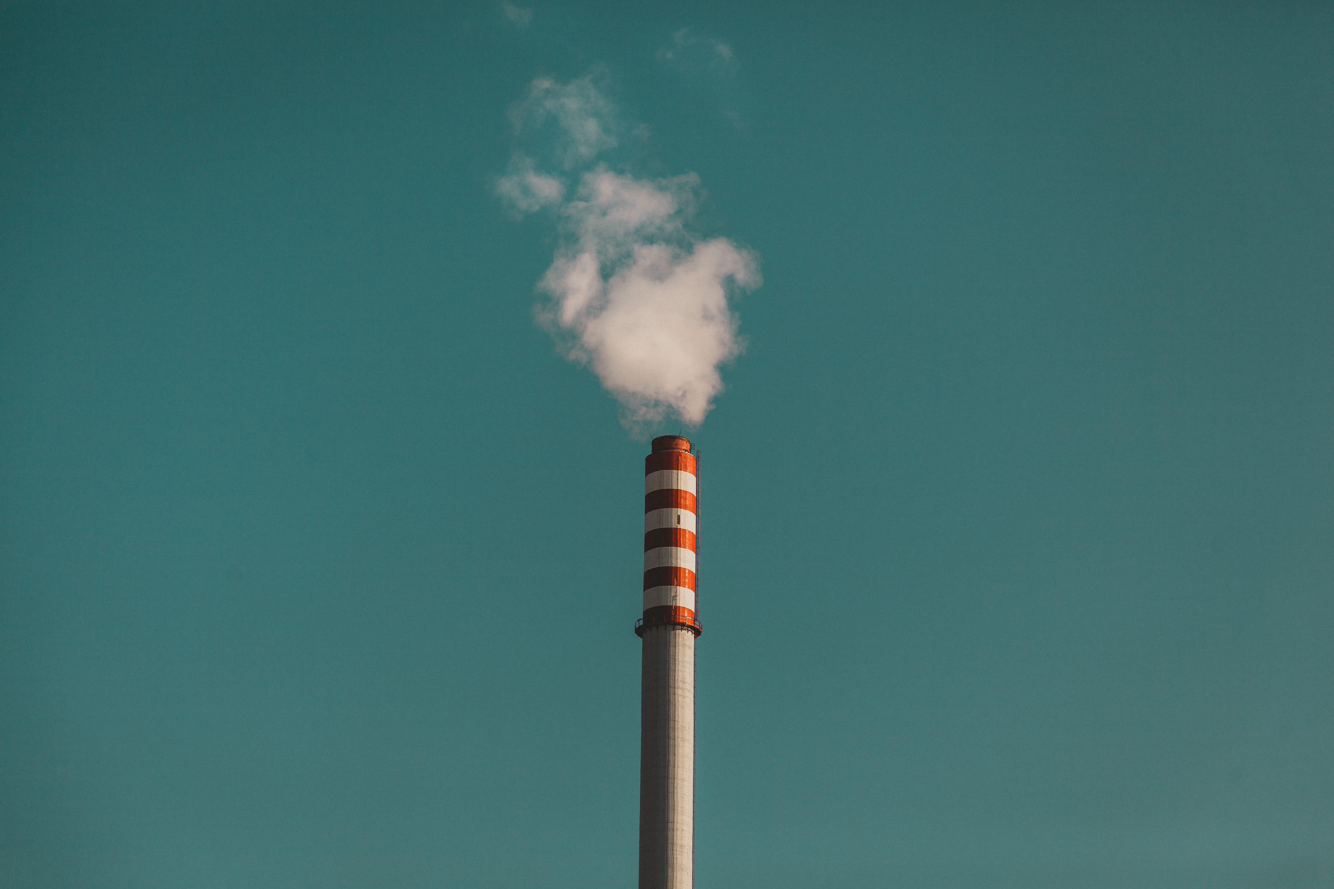 pollution, close-up, 5K, red, day, studio shot, urban, animal, striped ...