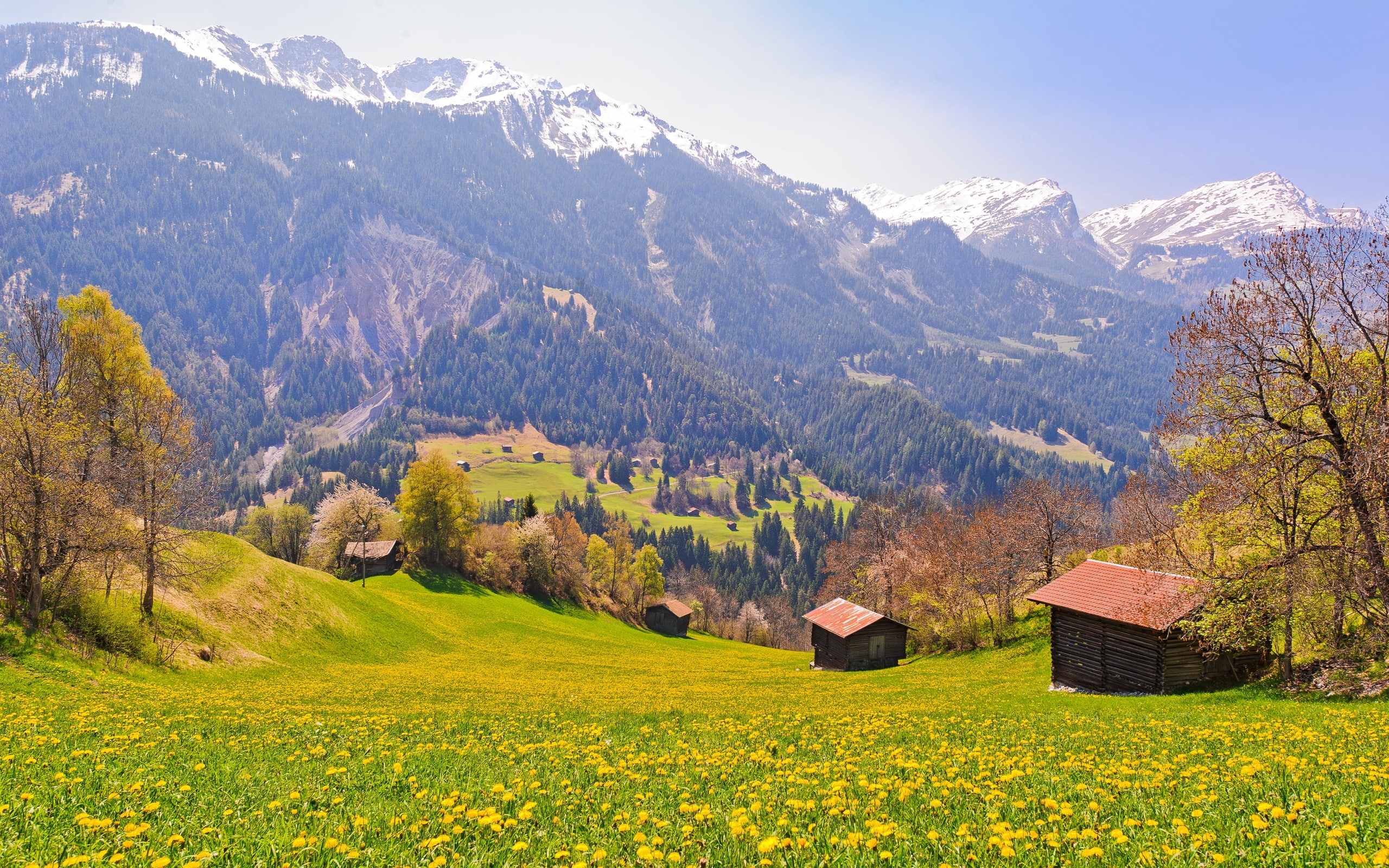 Trees, green, 2K, Mountains, Switzerland, grass, Fields, field, Slopes ...