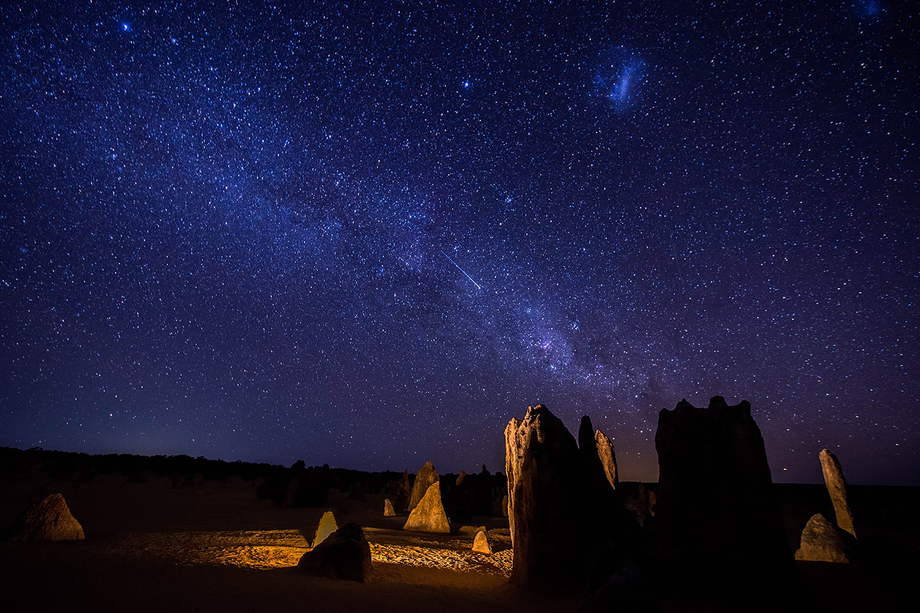 winter, night sky, star field, tranquility, scenics - nature, plant ...