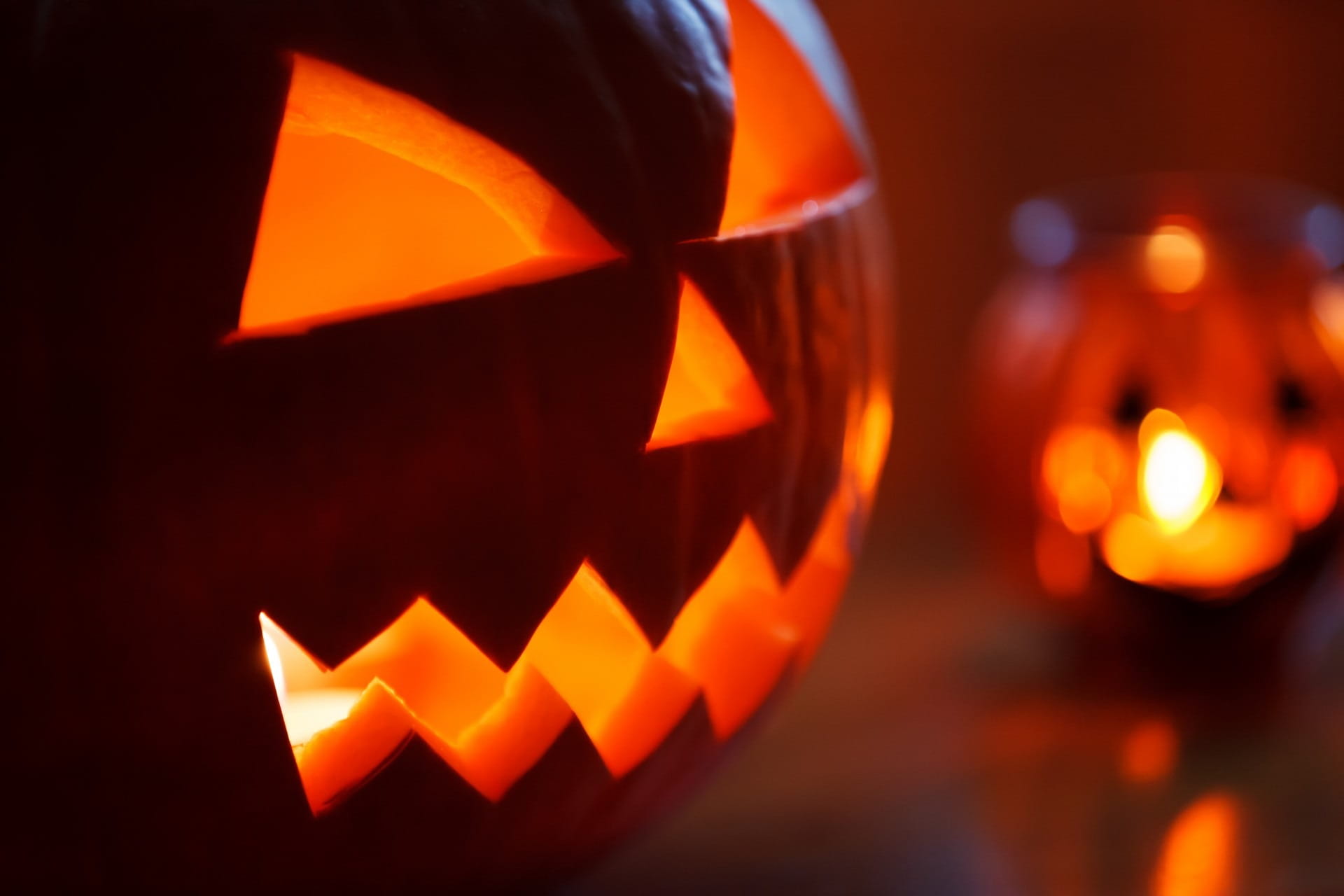 Wallpaper ID: 1187203 / holiday, orange color, anthropomorphic, close ...