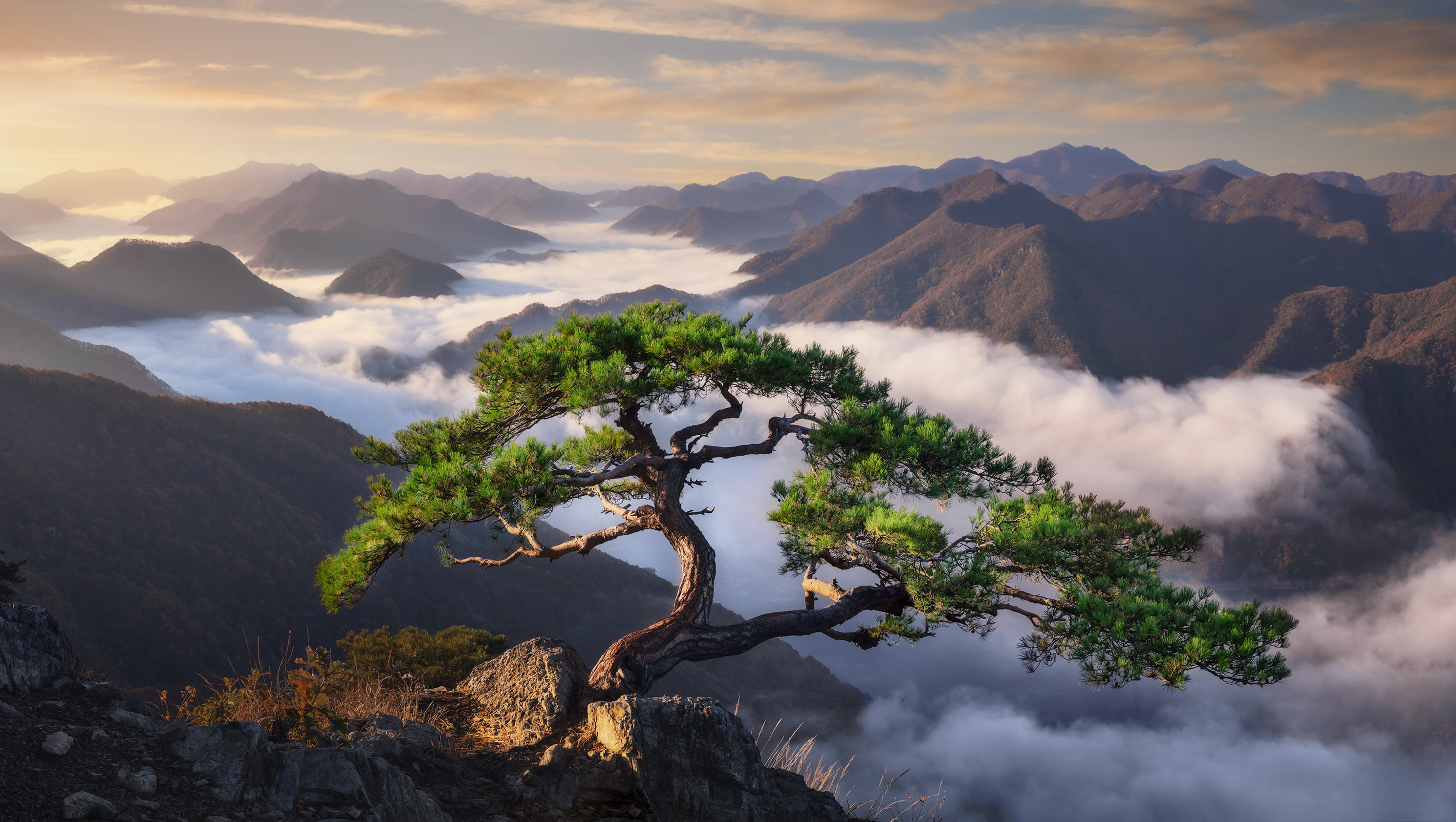 Monsoon, 2K, mountains, trees HD Wallpaper