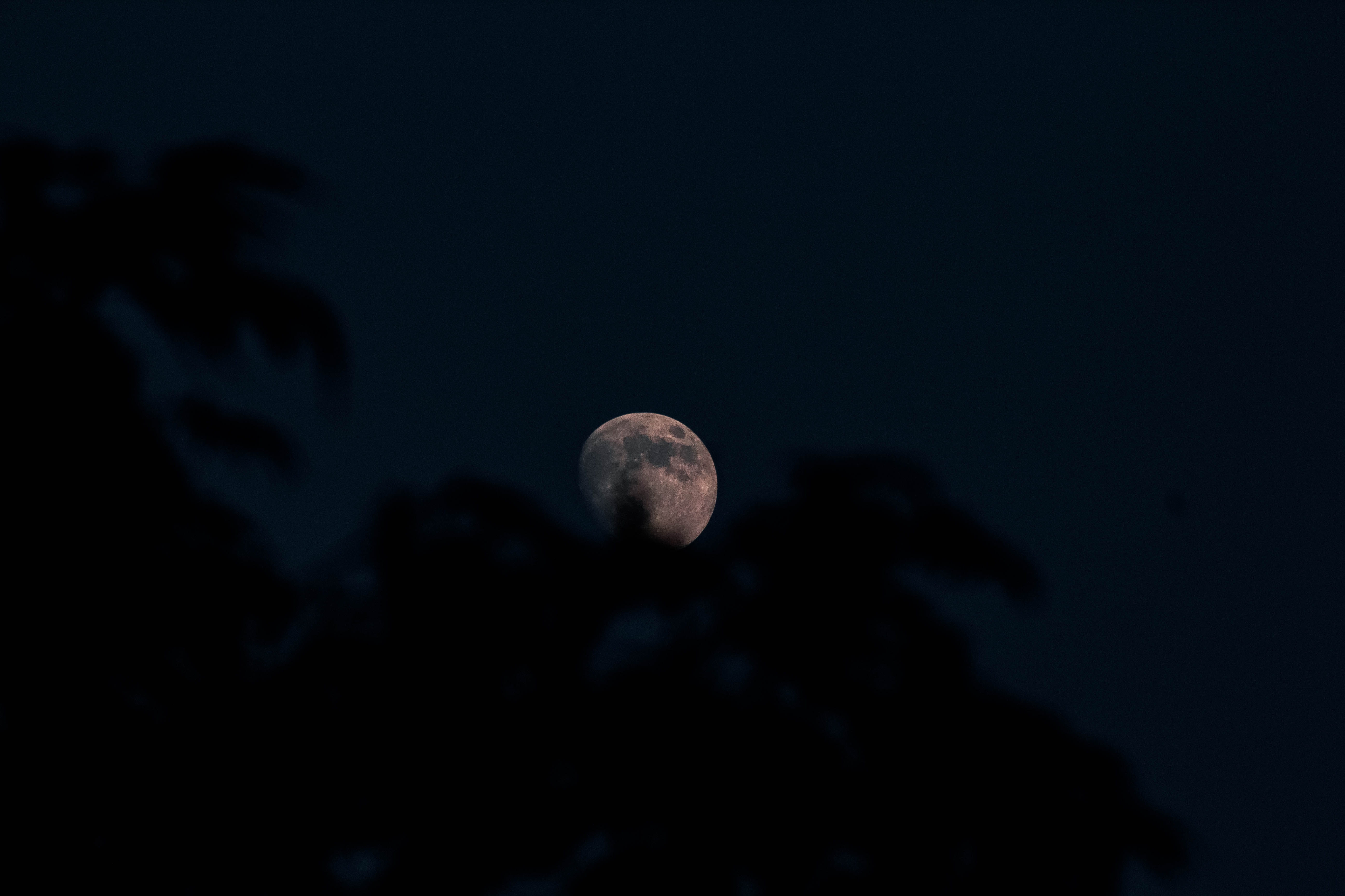 «moonshot» HD Wallpapers