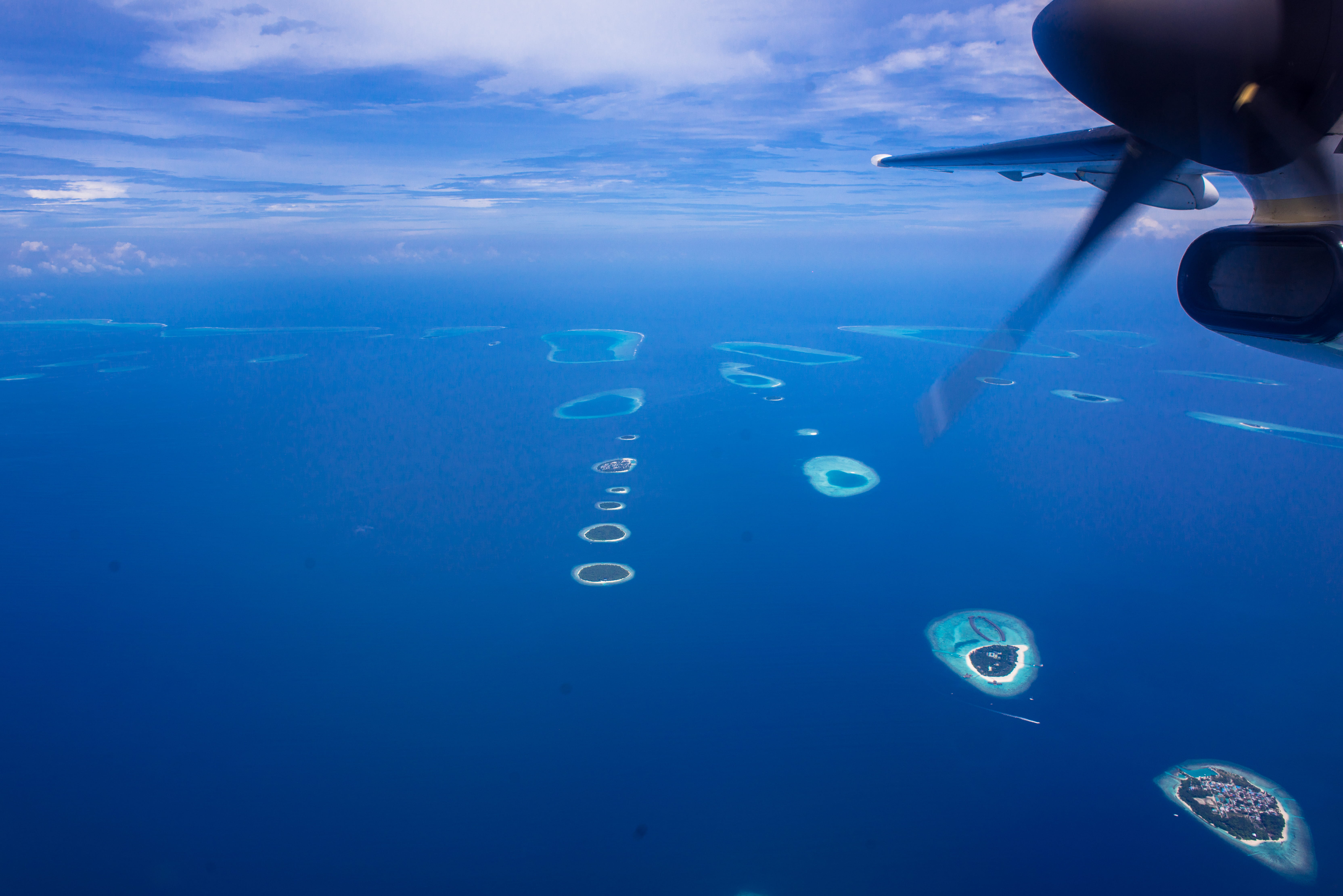 aerial, animal, 5K, marine, sky, travel, transportation, airplane ...