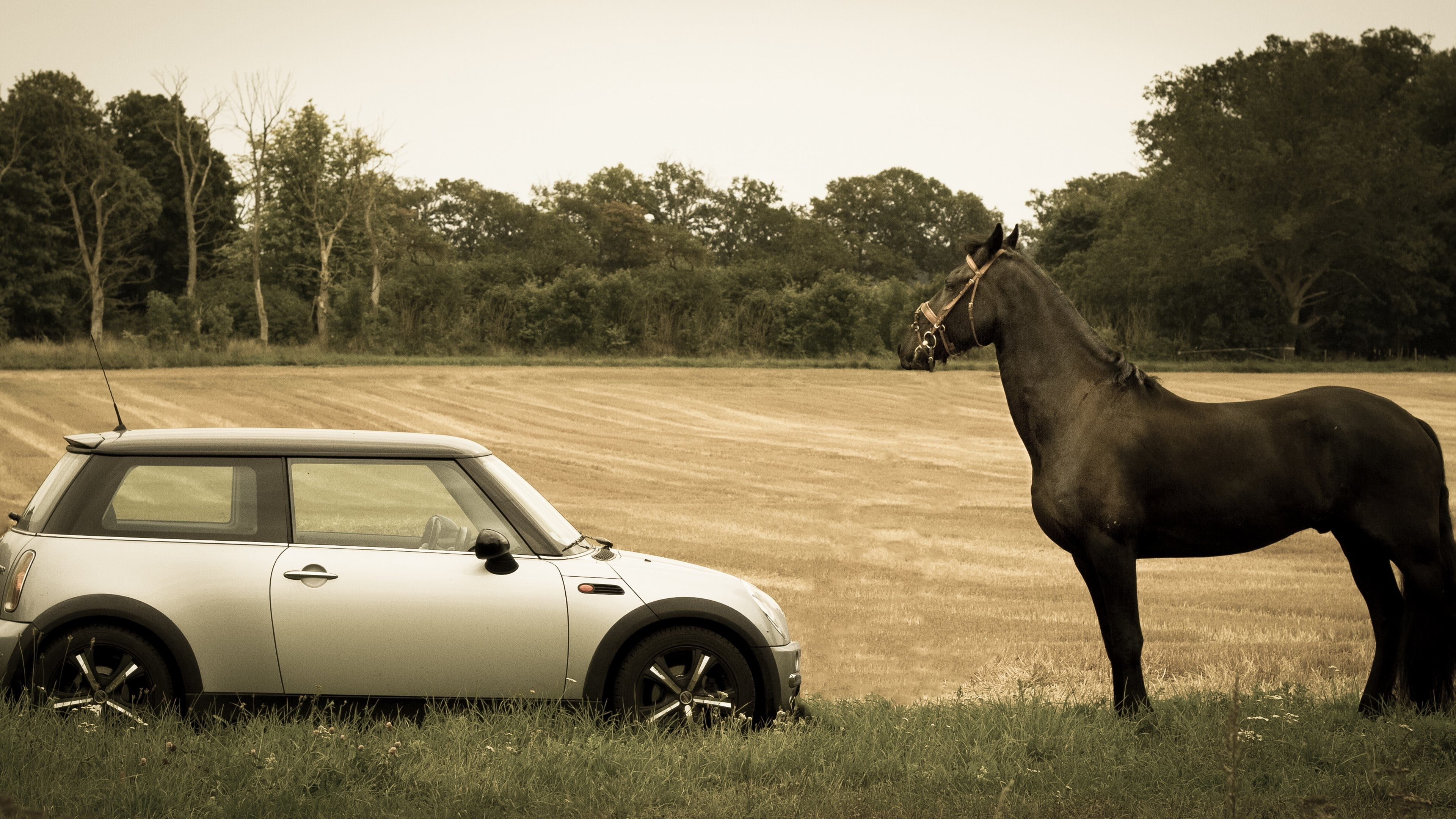 «horsepower» HD Wallpapers