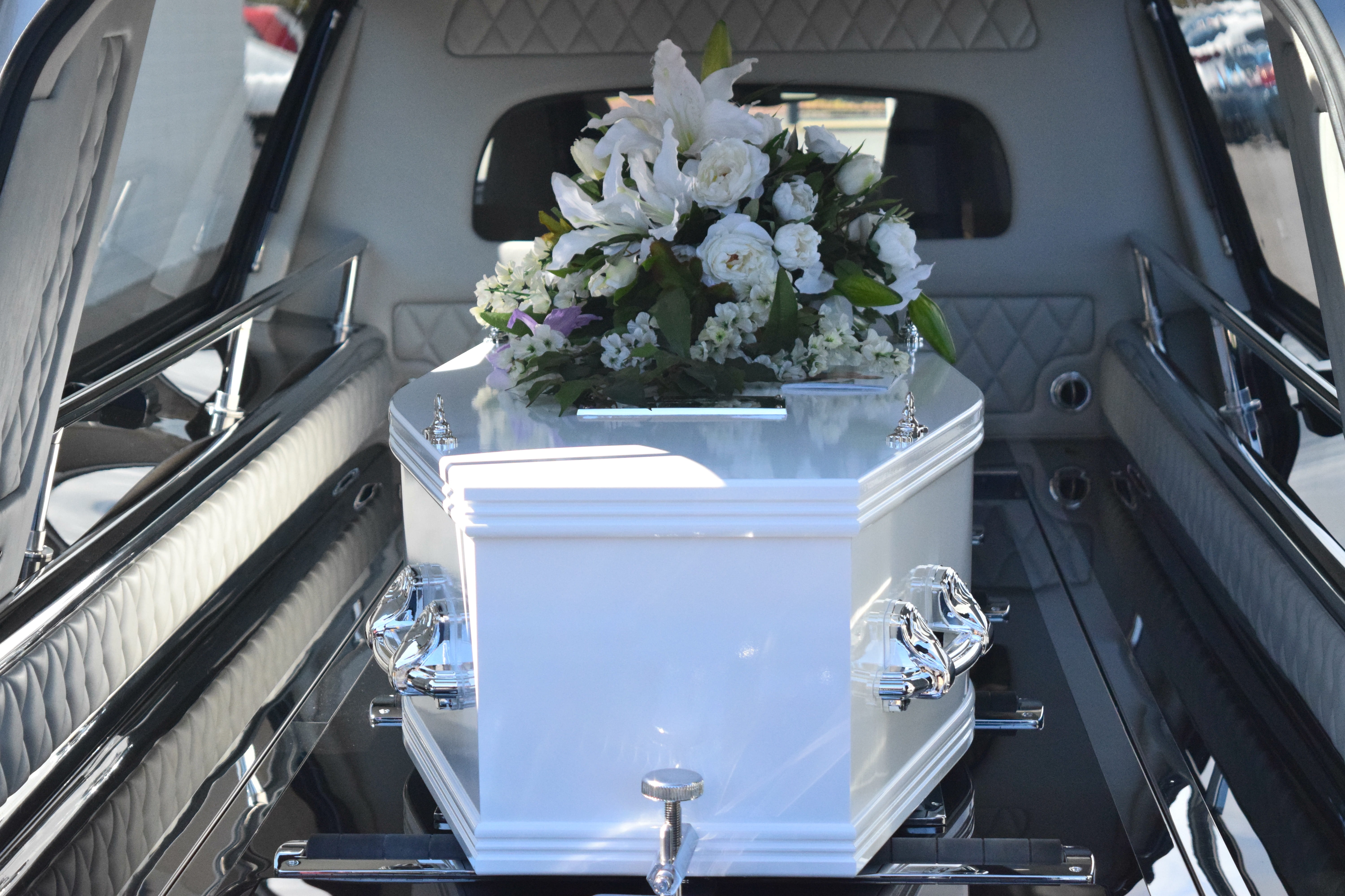 flowering plant, freshness, flower arrangement, no people, grief ...