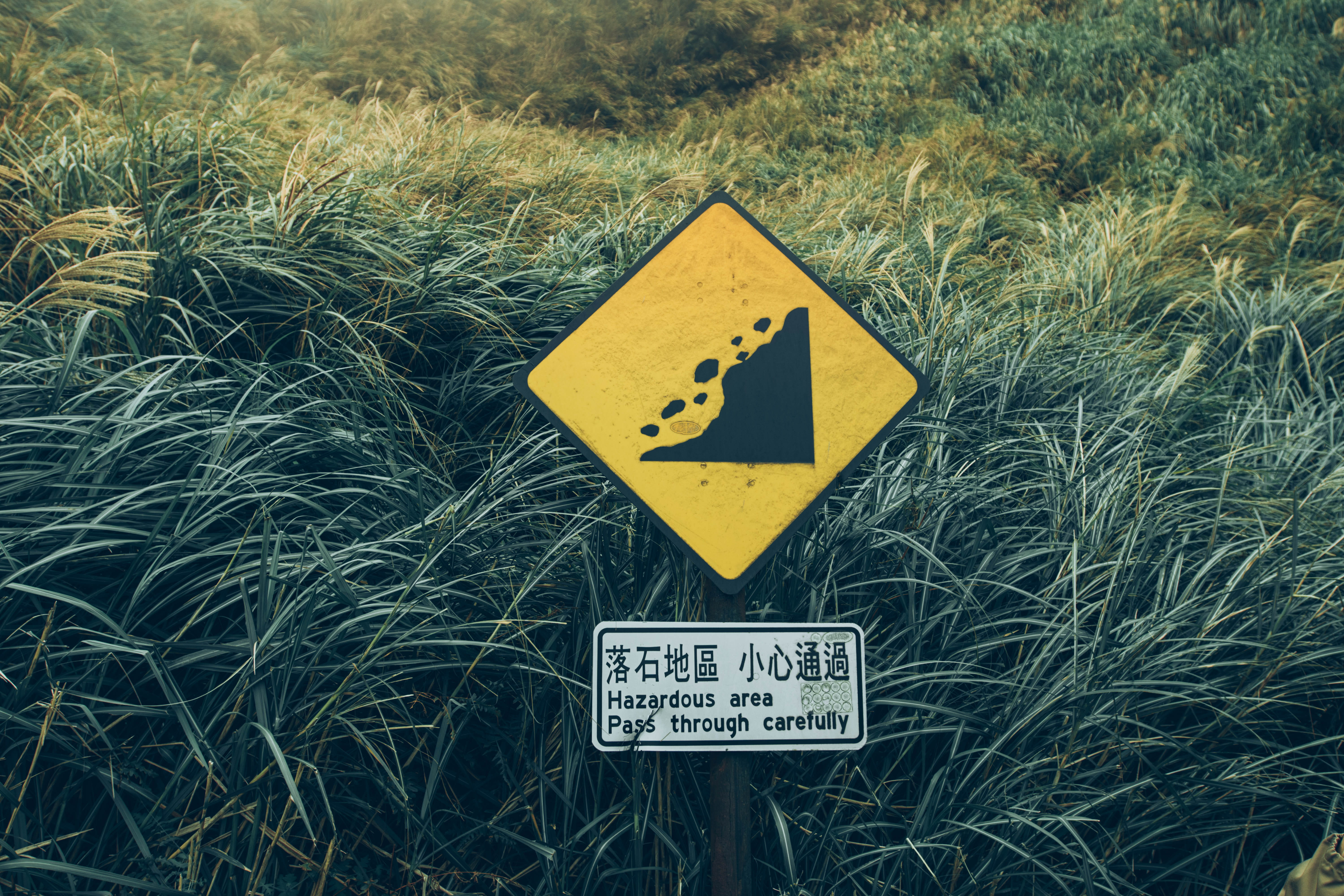 text, taiwan, yangmingshan, metal, warning, communication, sign, road ...