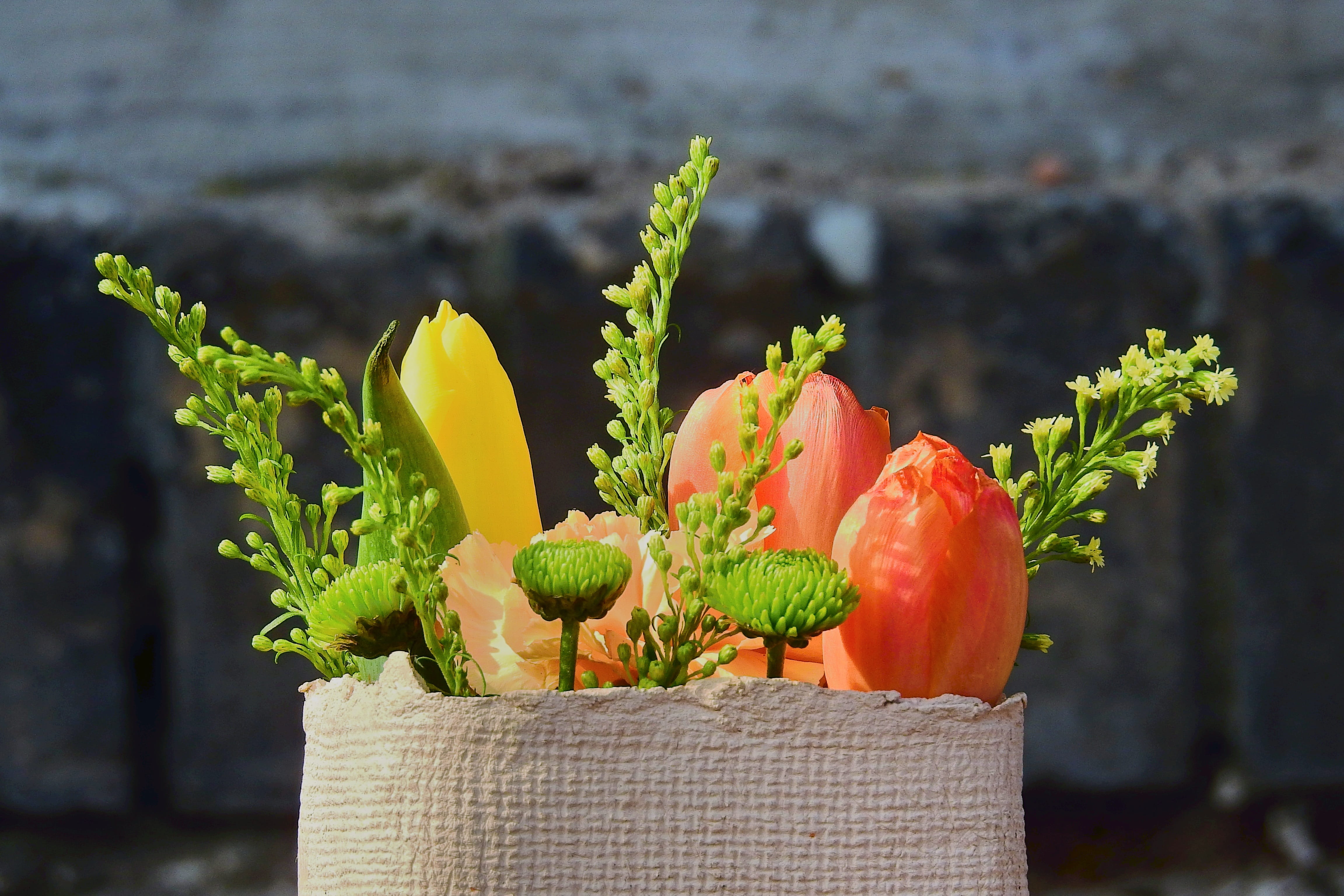 nature, freshness, focus on foreground, homegrown produce, green color ...