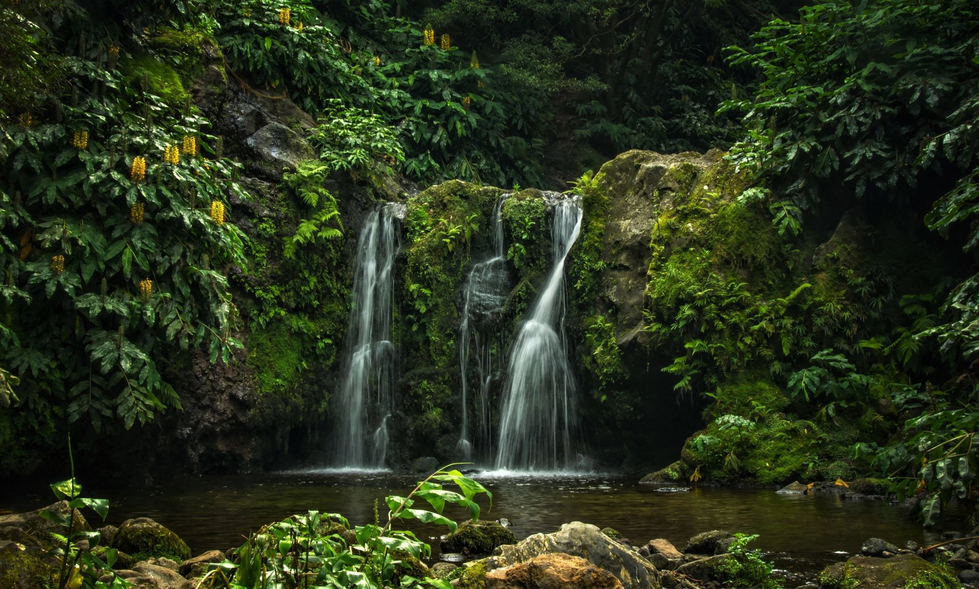 1080P, Forest, Rock, Azores, Waterfalls, Waterfall, Portugal, Earth ...
