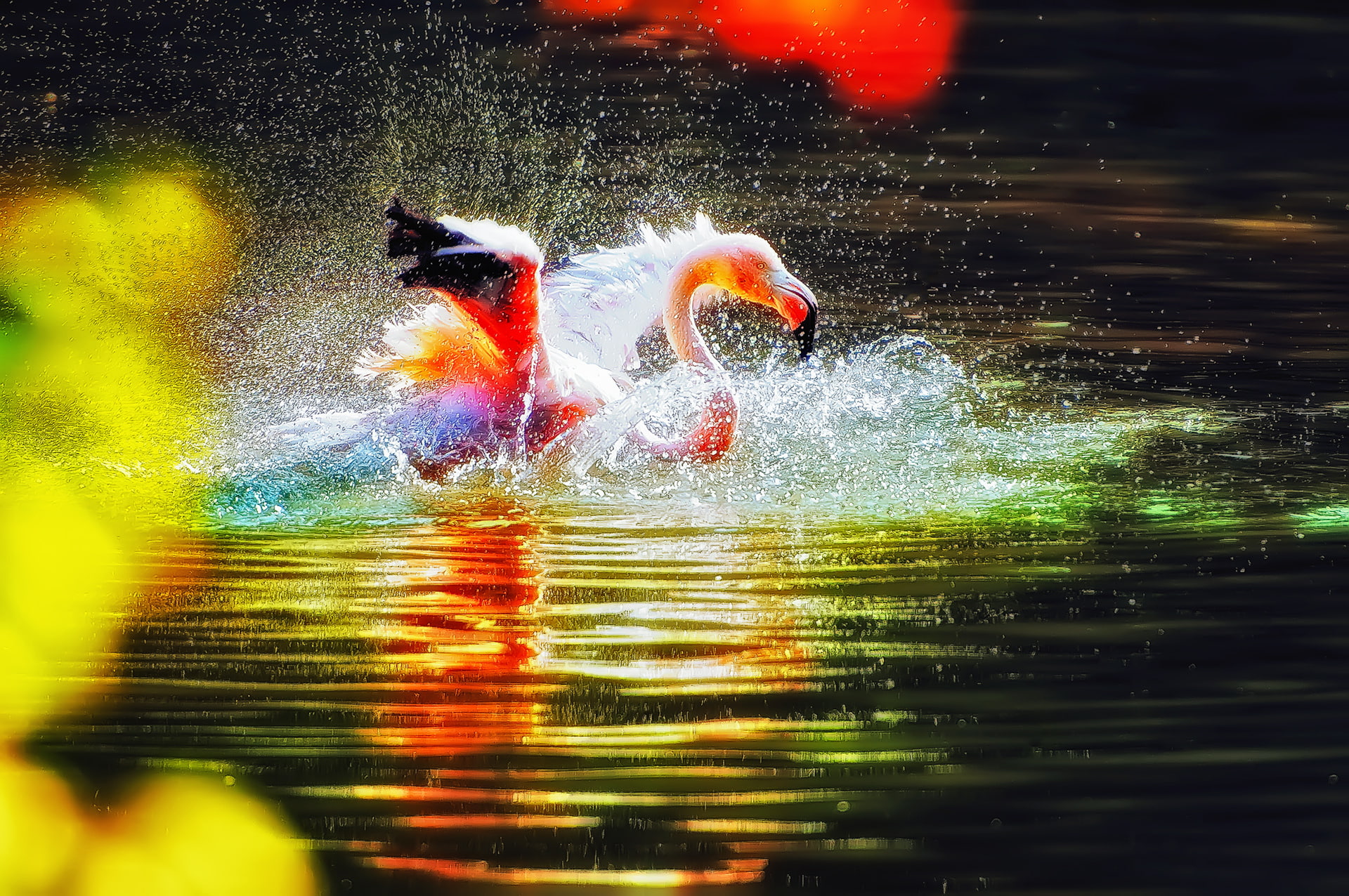«squirt» HD Wallpapers