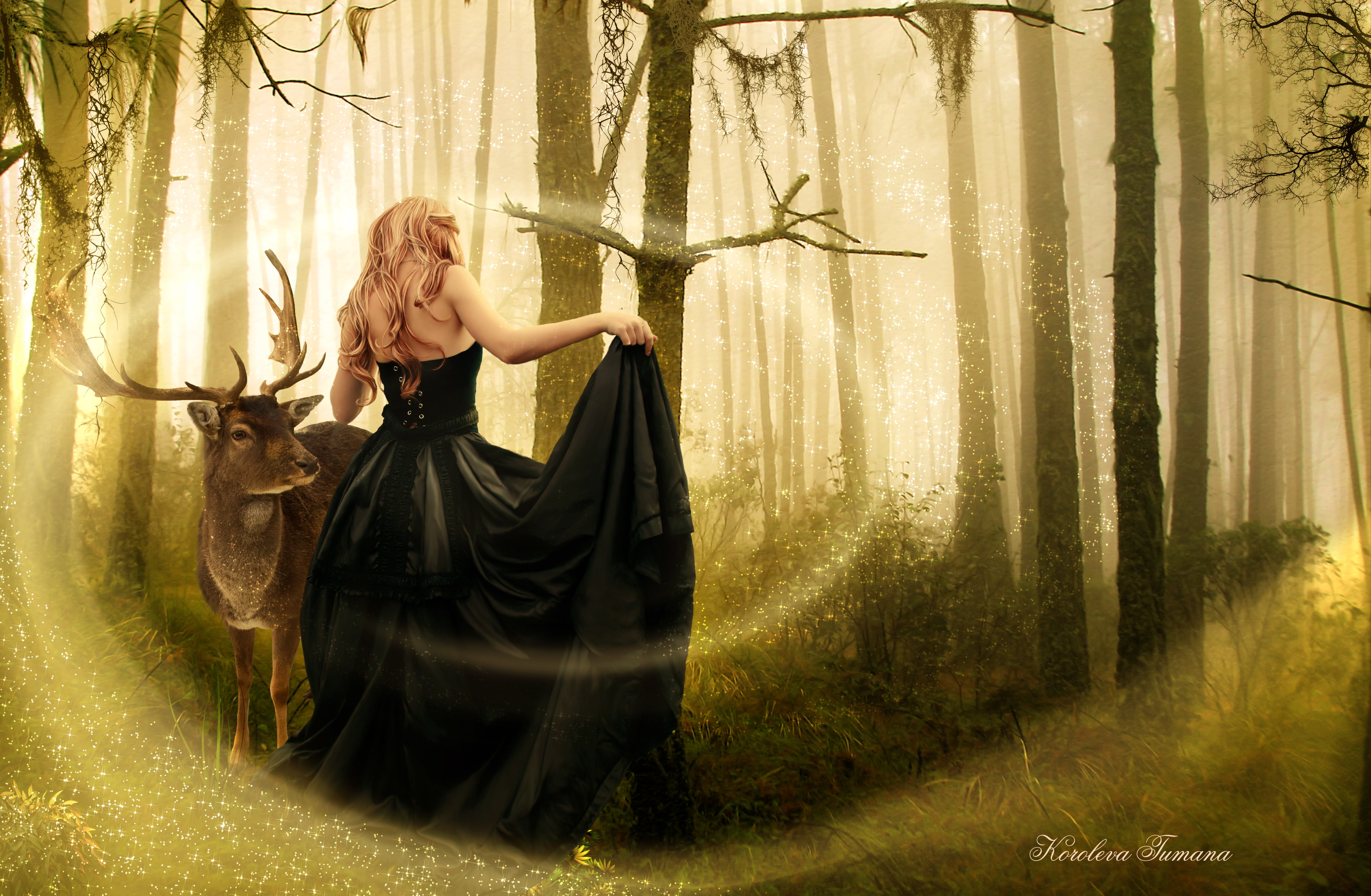 Forest, 4K, Women, Girl, Buck, Fantasy, Woman, Gothic, Deer Hd Wallpaper