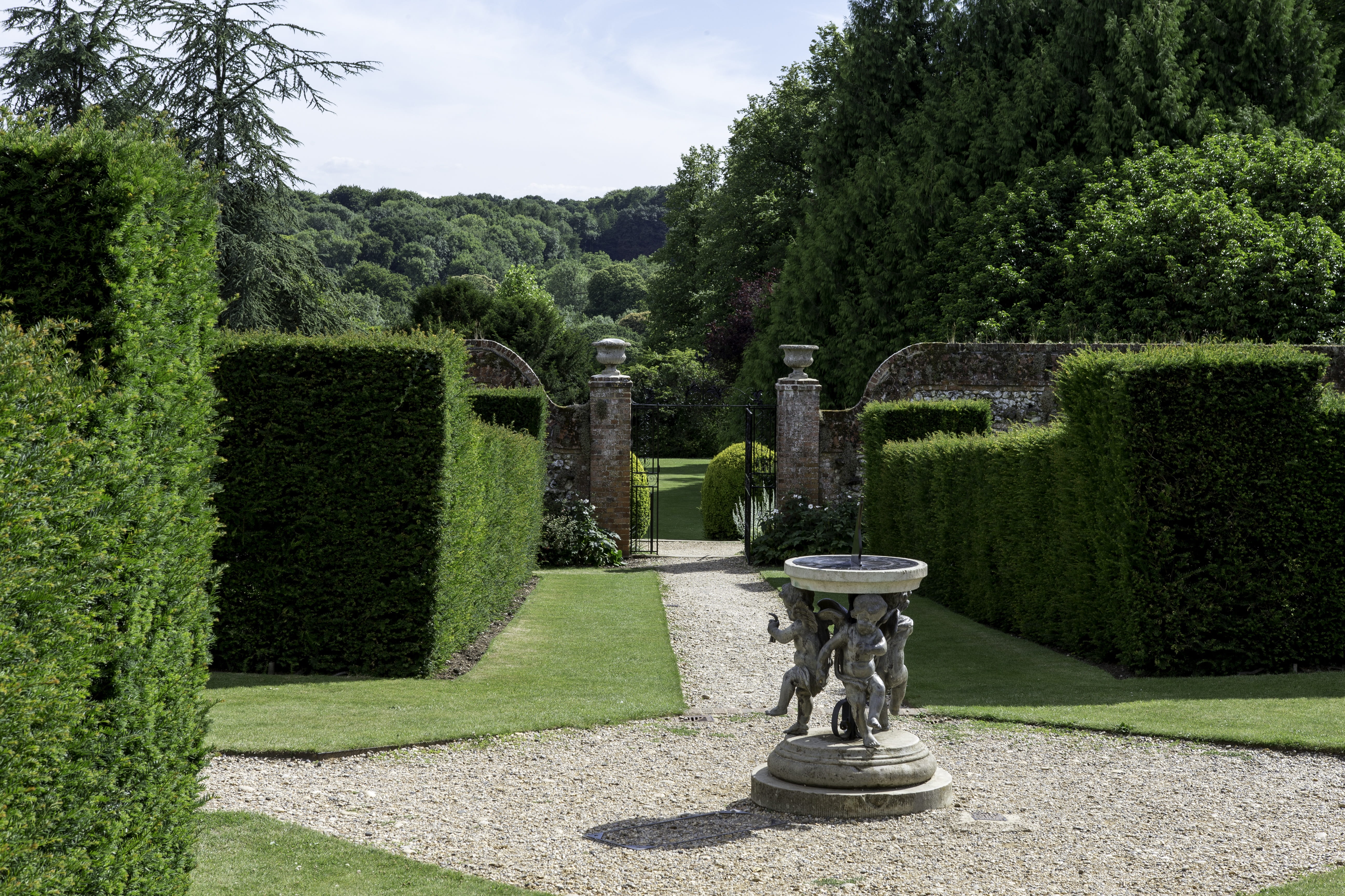 tree, nature, formal yew hedges, hedge, garden, topiary, no people ...