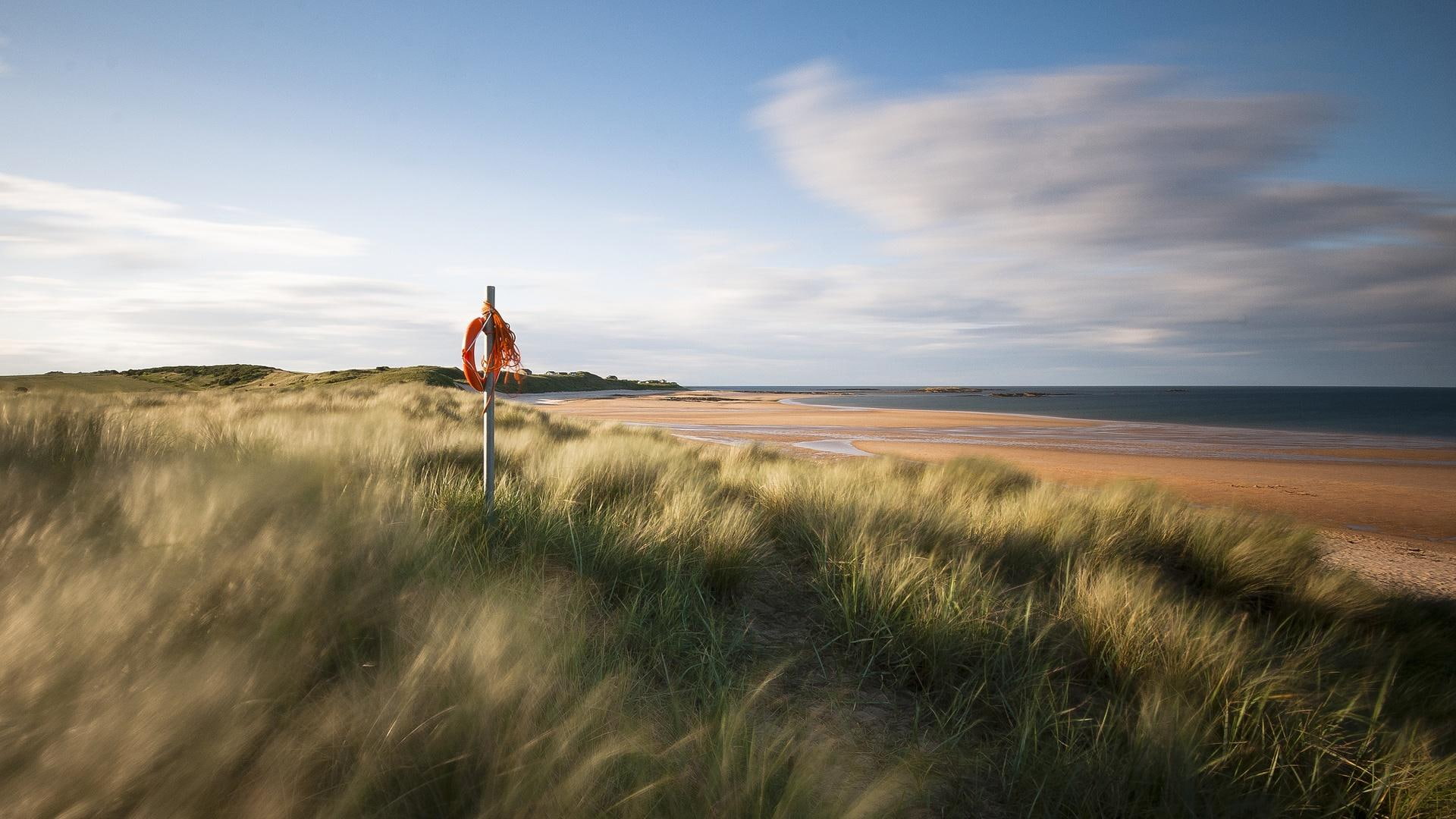 clouds, beach, nature and landscapes, wonderful, grassy, wind, gras ...