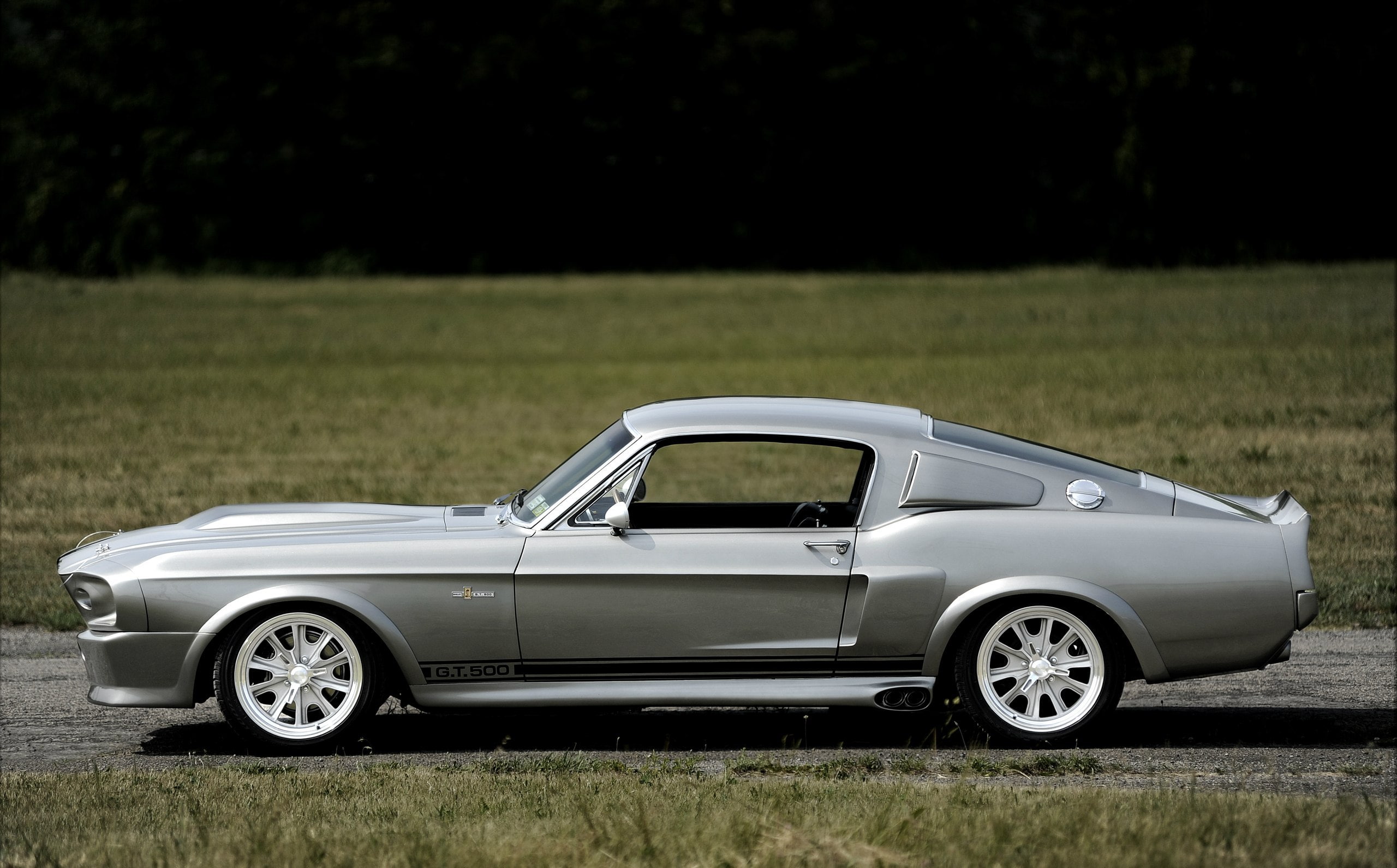 «SHELBY ELEANOR» HD wallpapers