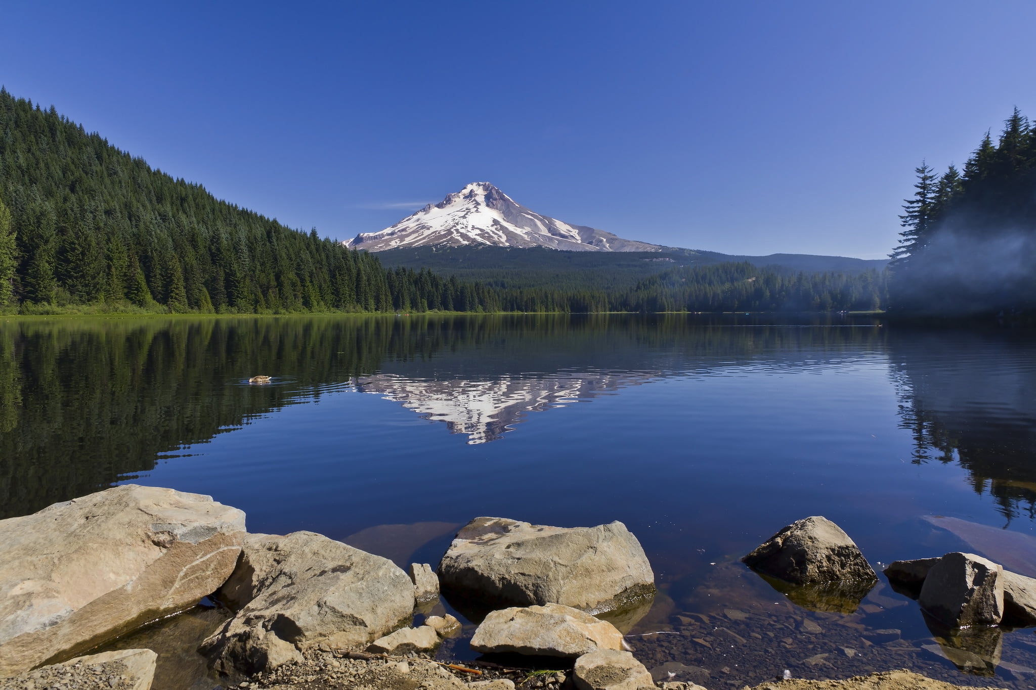lake, Oregon, tranquil scene, idyllic, non-urban scene, black, forest ...