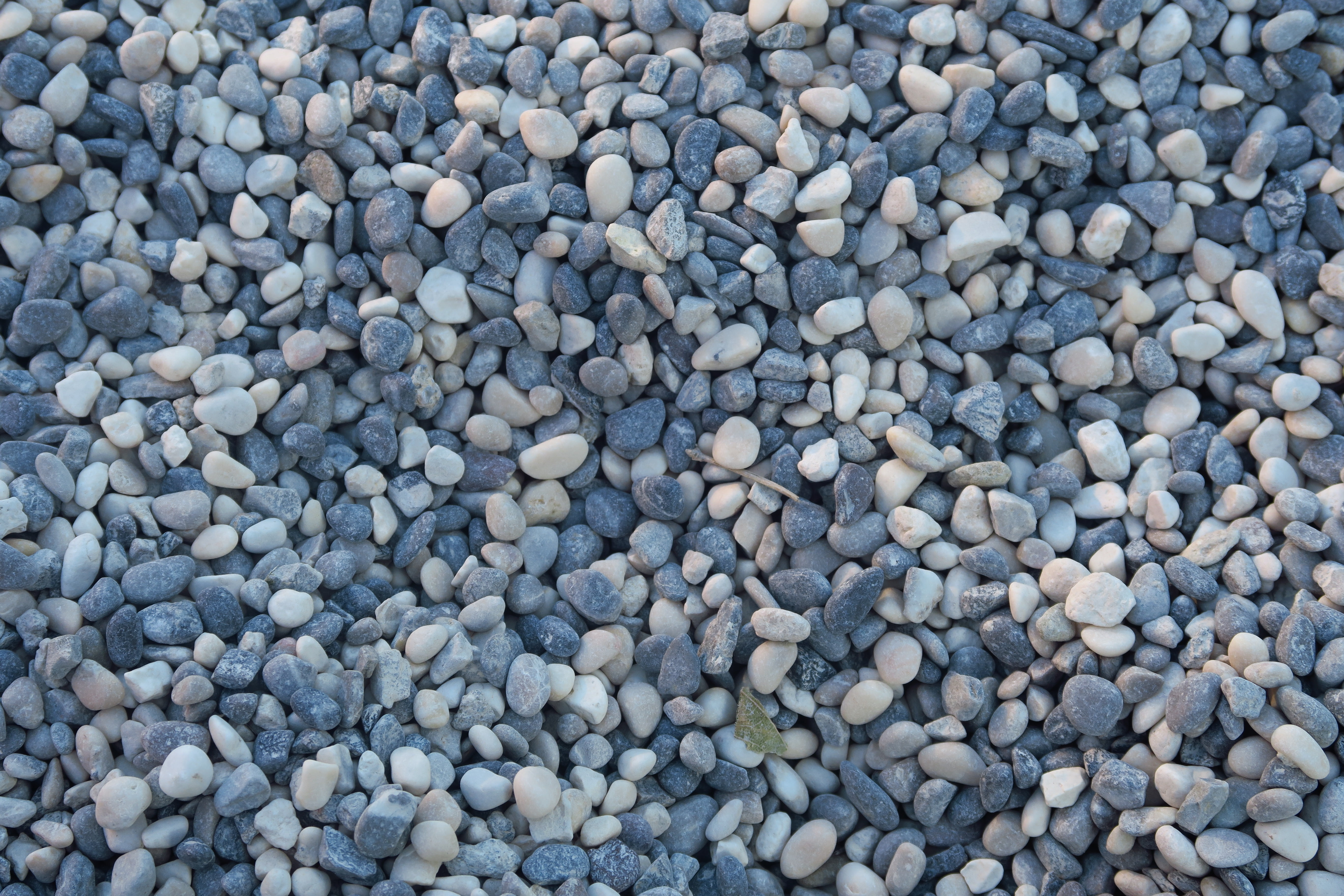 high angle view, pebble, stone, rock, outdoors, close-up, no people ...