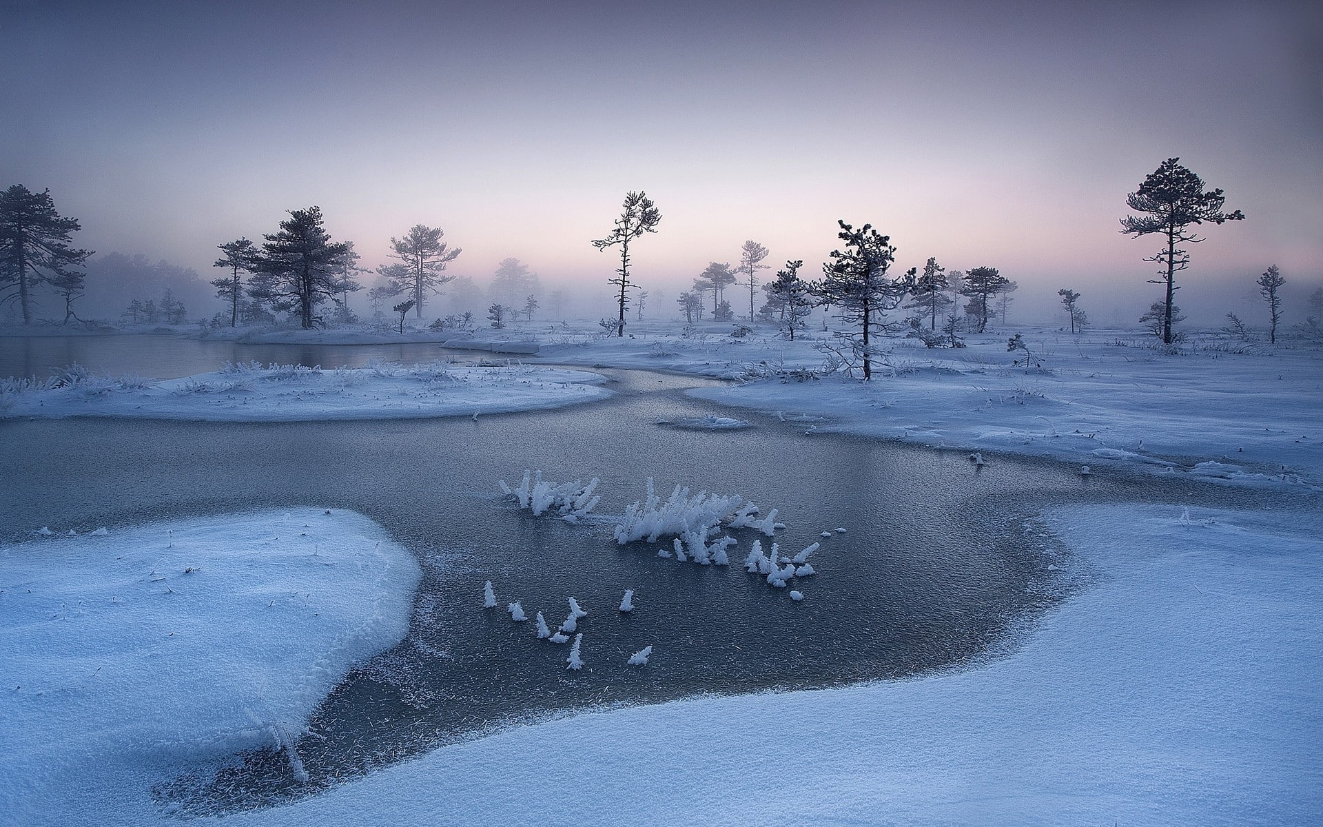 Nature Landscape Winter Trees Sunrise River Snow Frost Estonia Mist ...