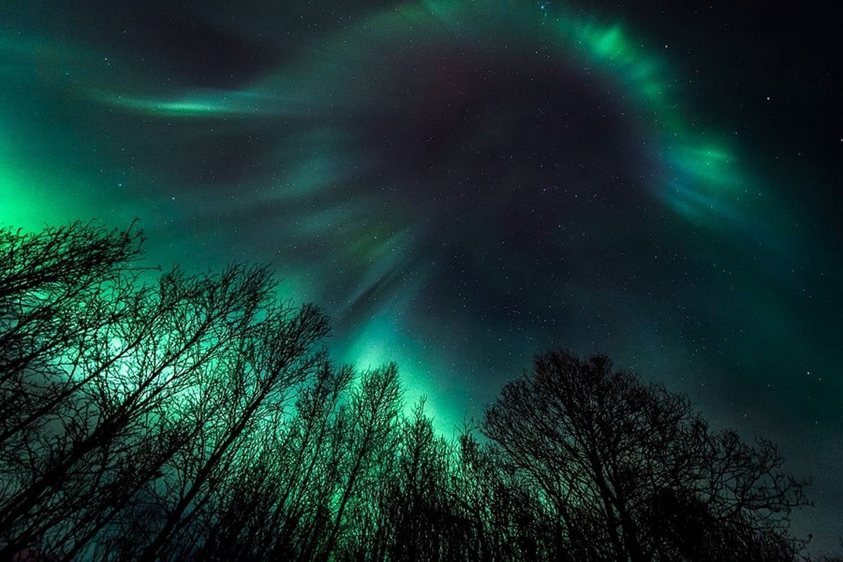 nature landscape starry night aurora boreal trees green lights sky ...