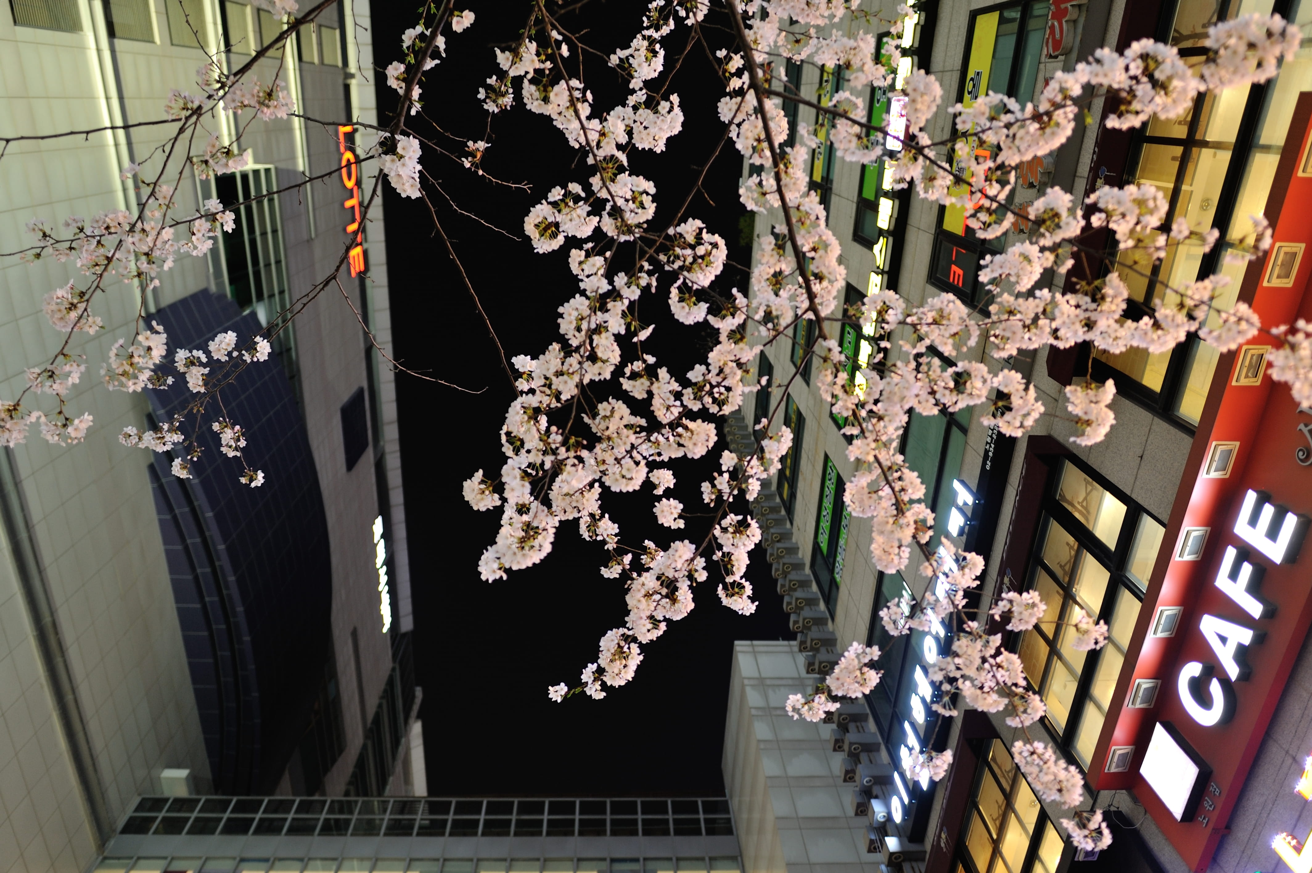 nowon-gu, retail, store, decoration, large group of objects, south ...