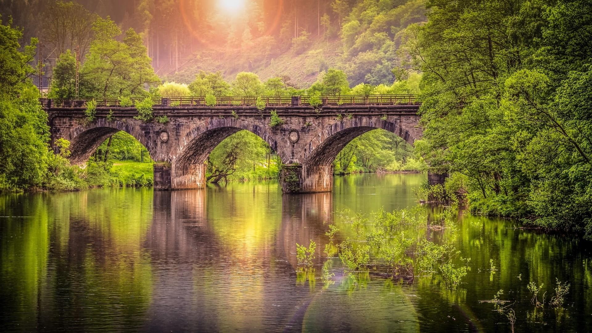 forest, nature, bridge, water, 1080P, sunray, sunlight HD Wallpaper