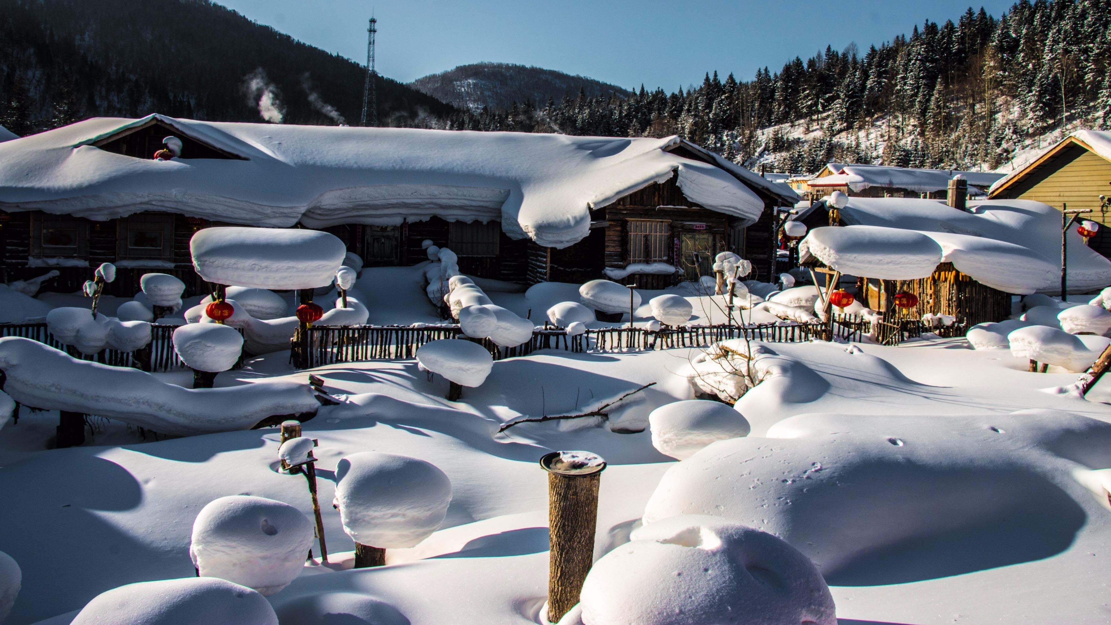 «FORESTRY BUREAU» HD wallpapers