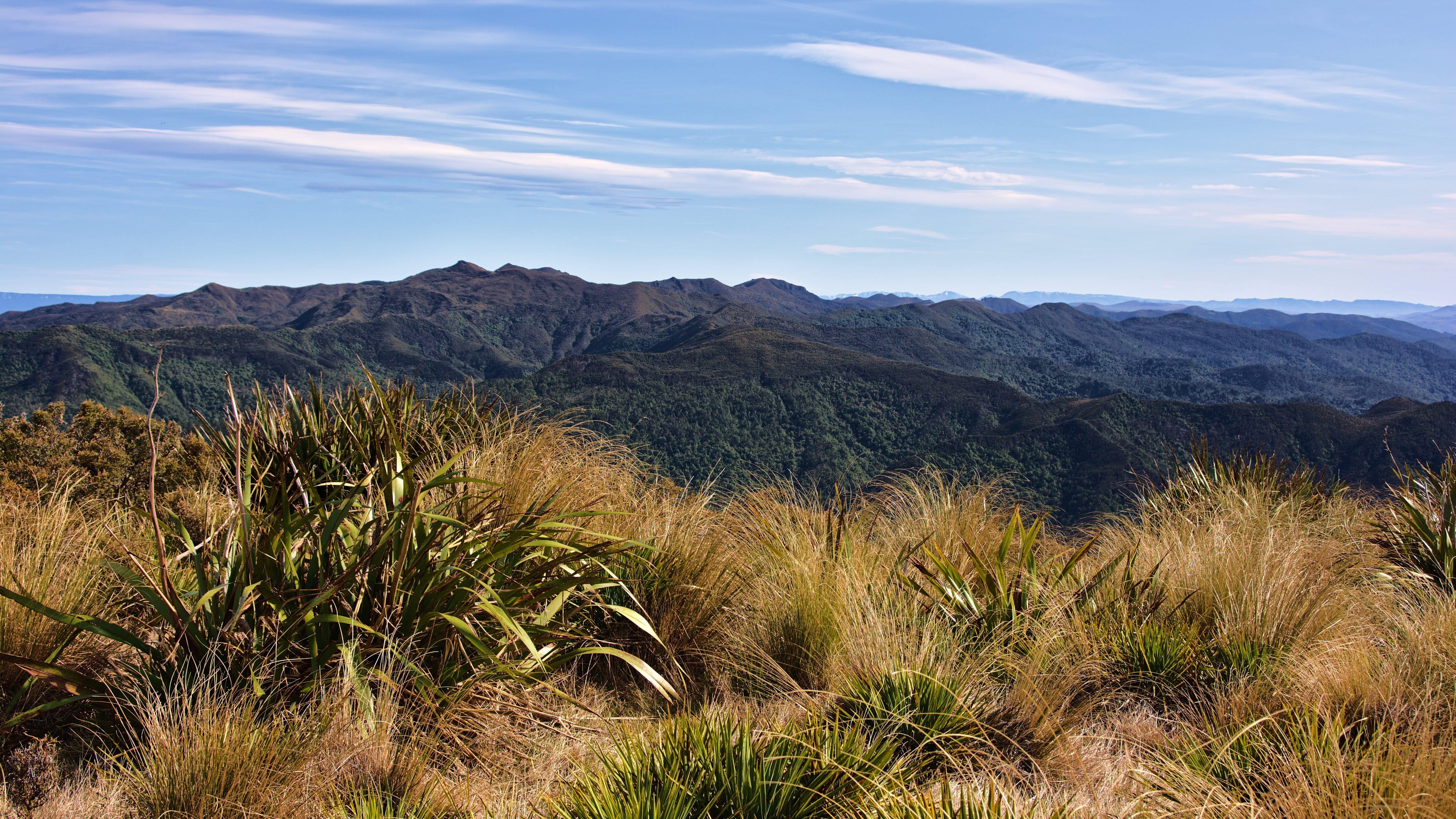 «dunedin» HD Wallpapers