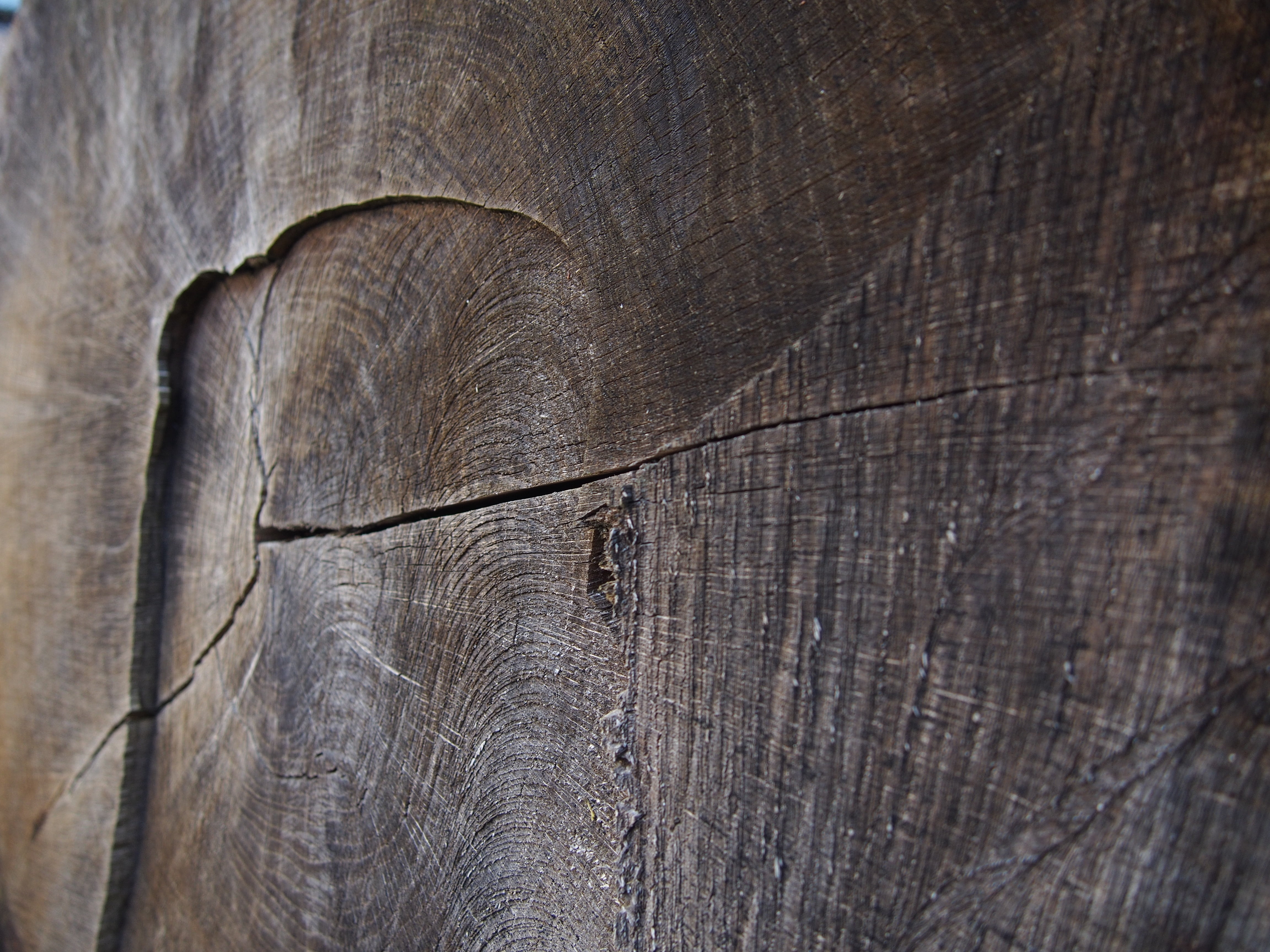 Wallpaper ID: 1555203 / wood, tree, pattern, tree ring, annual rings ...