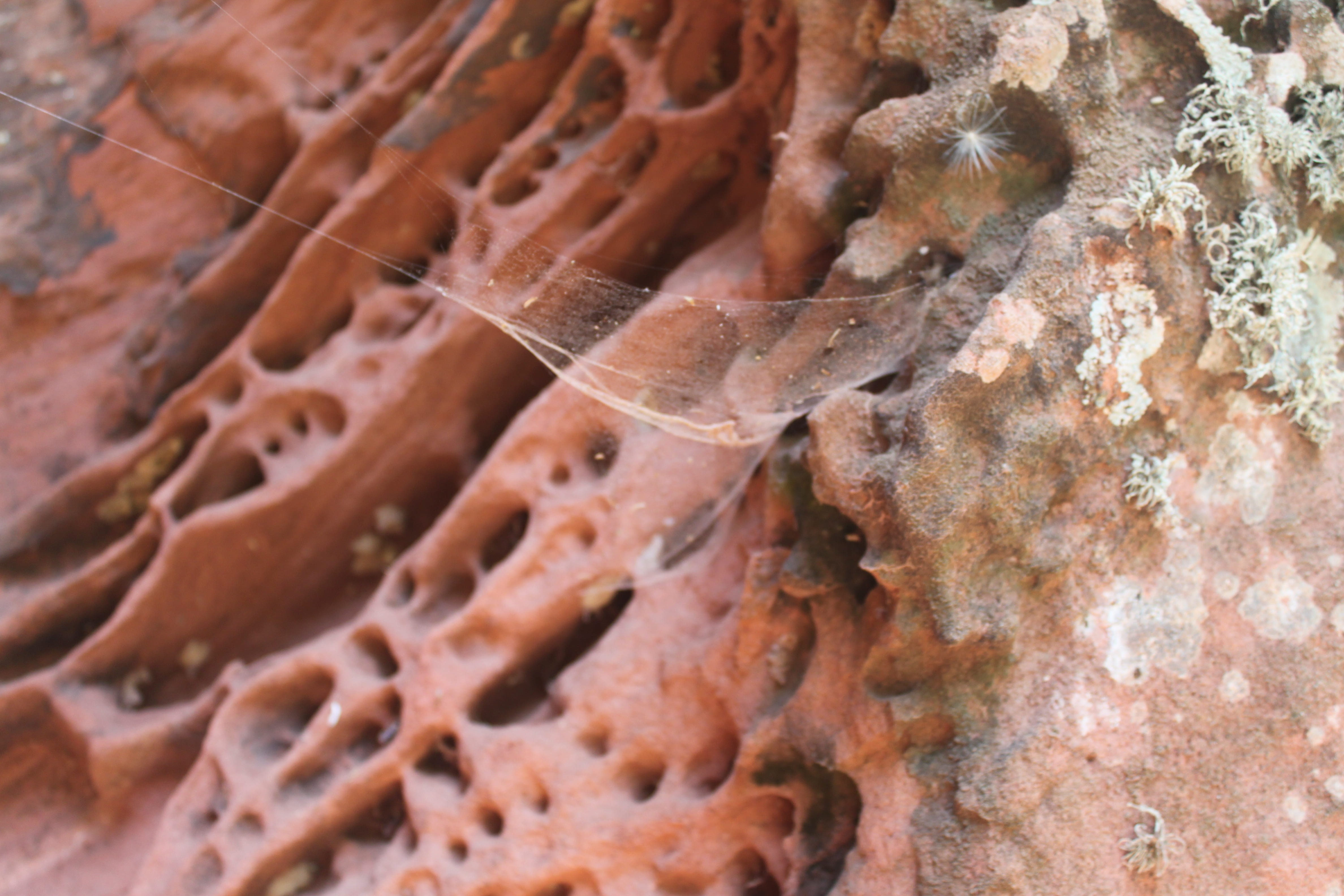«SEDIMENTS» HD wallpapers