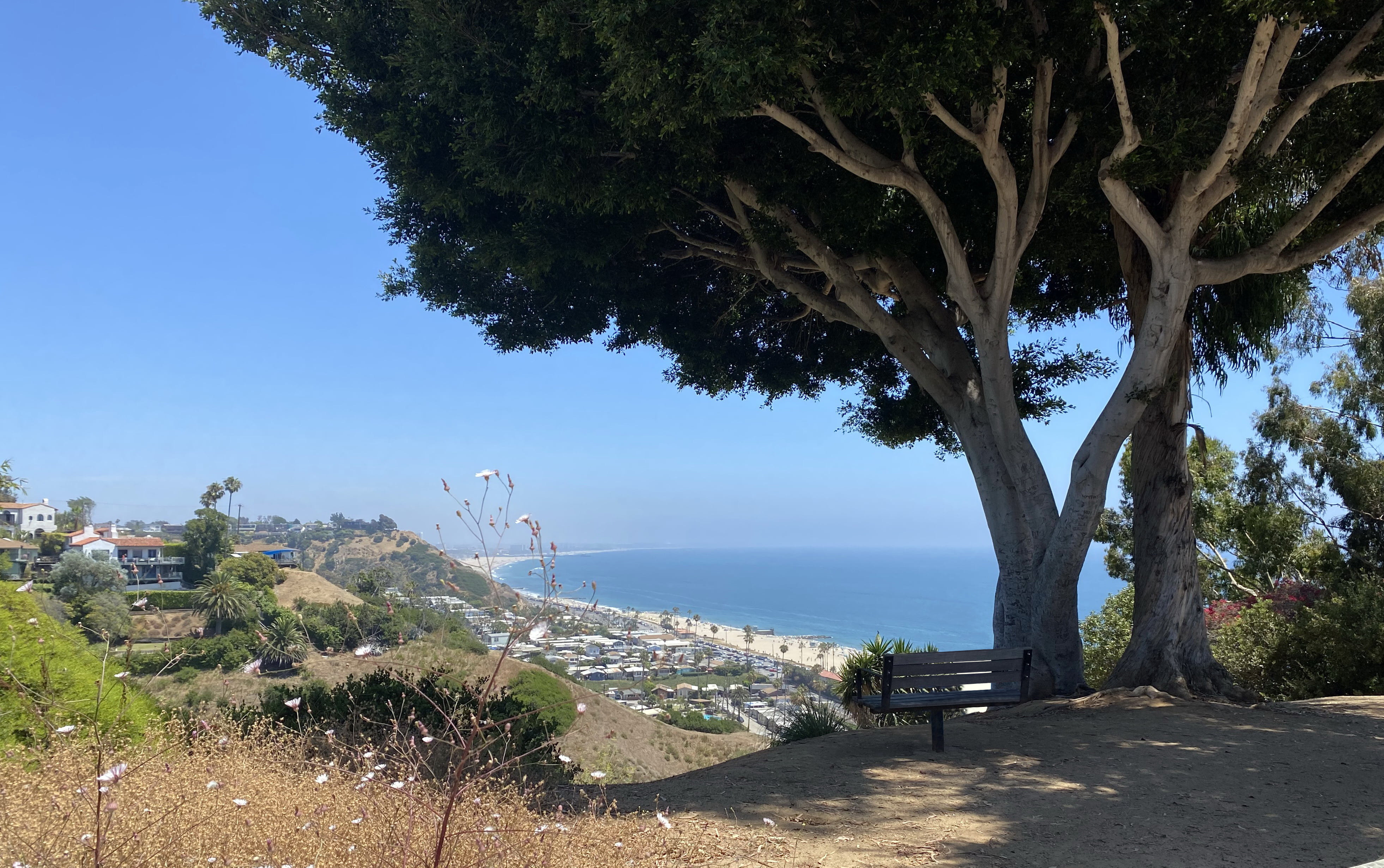 Los Angeles, ocean view, 4K, Santa Monica, Pacific Palisades, Pacific ...