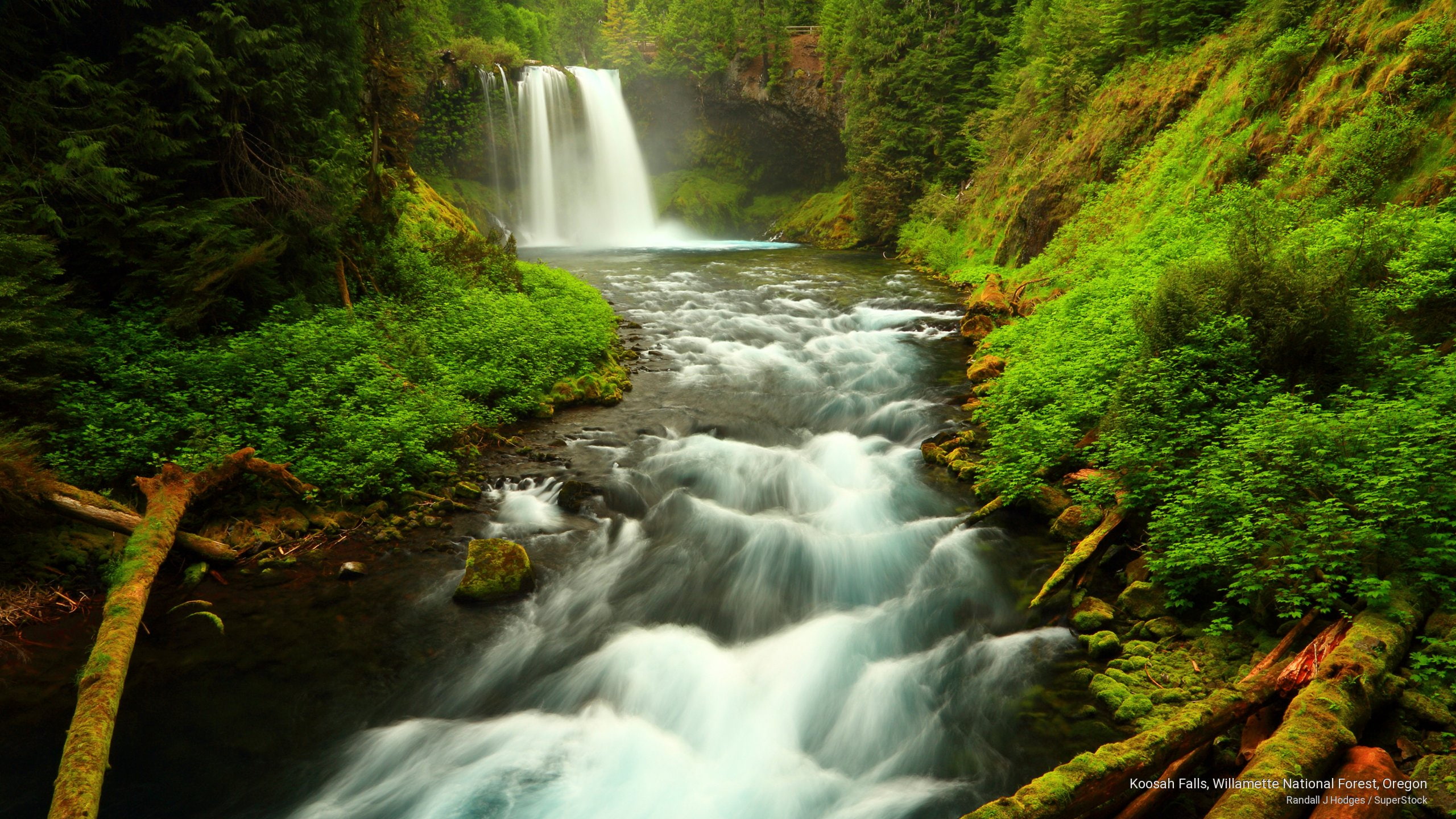 «willamette» HD Wallpapers