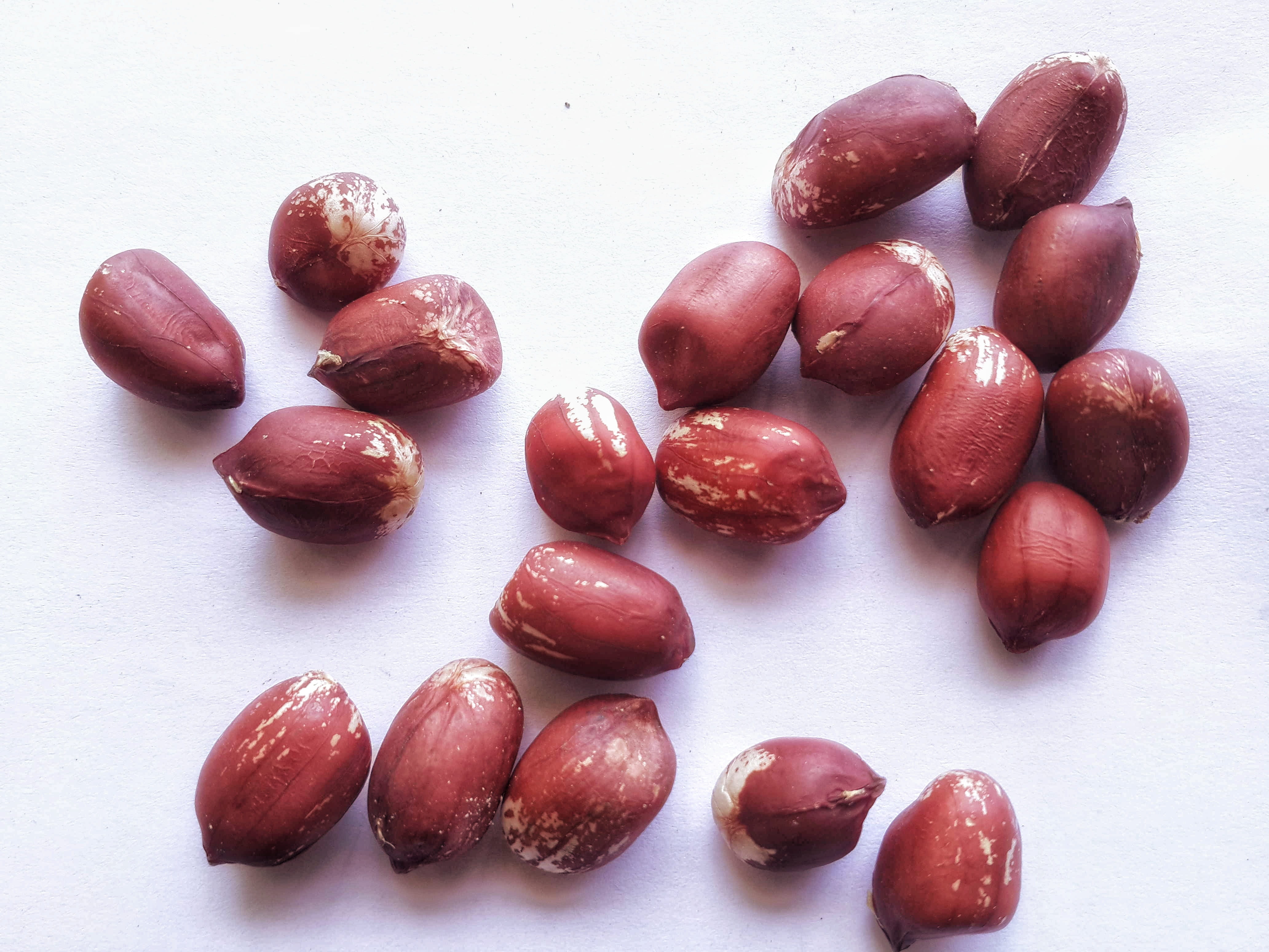 «GROUNDNUTS» HD wallpapers