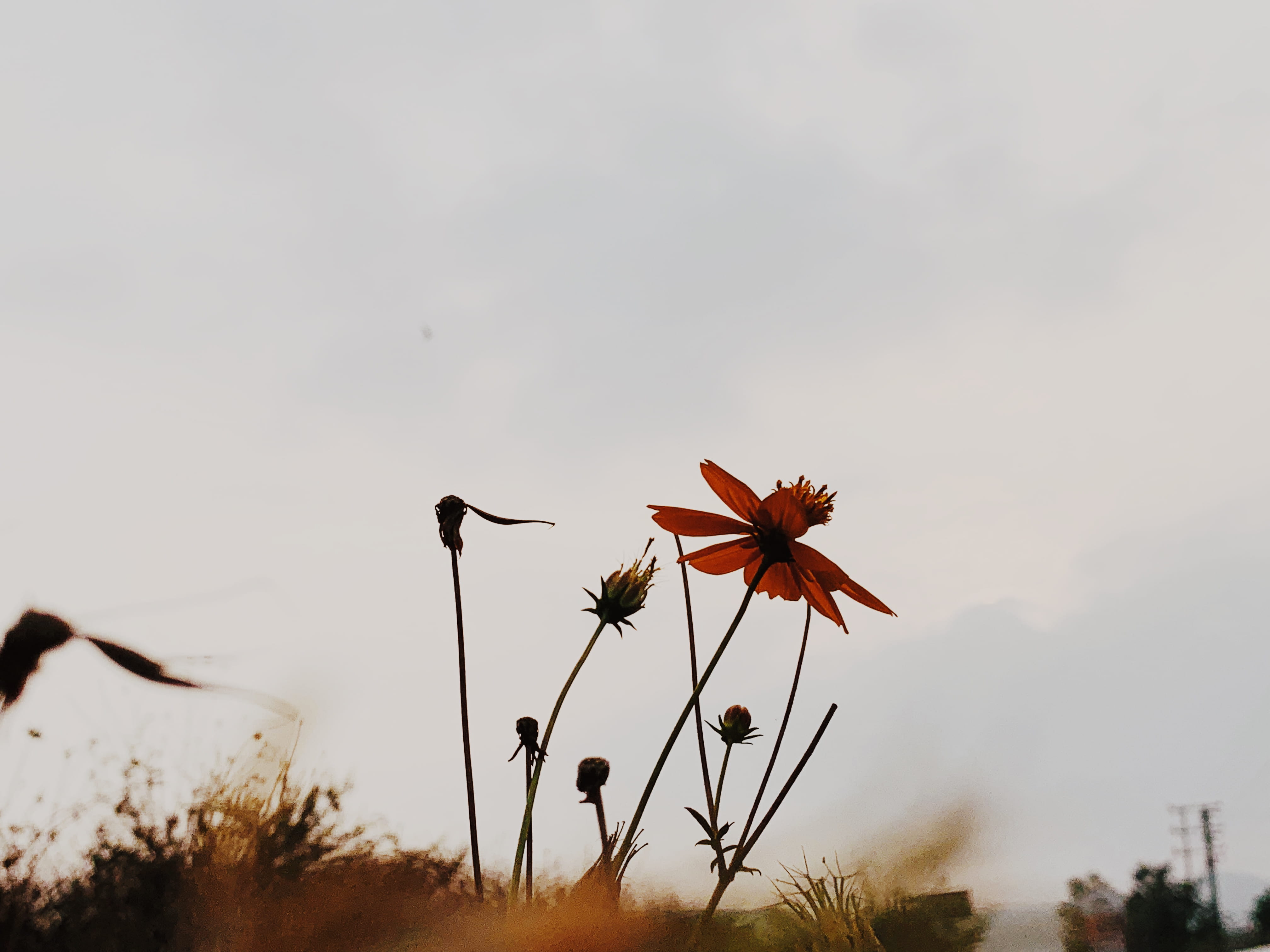 «Girinagar» HD wallpapers