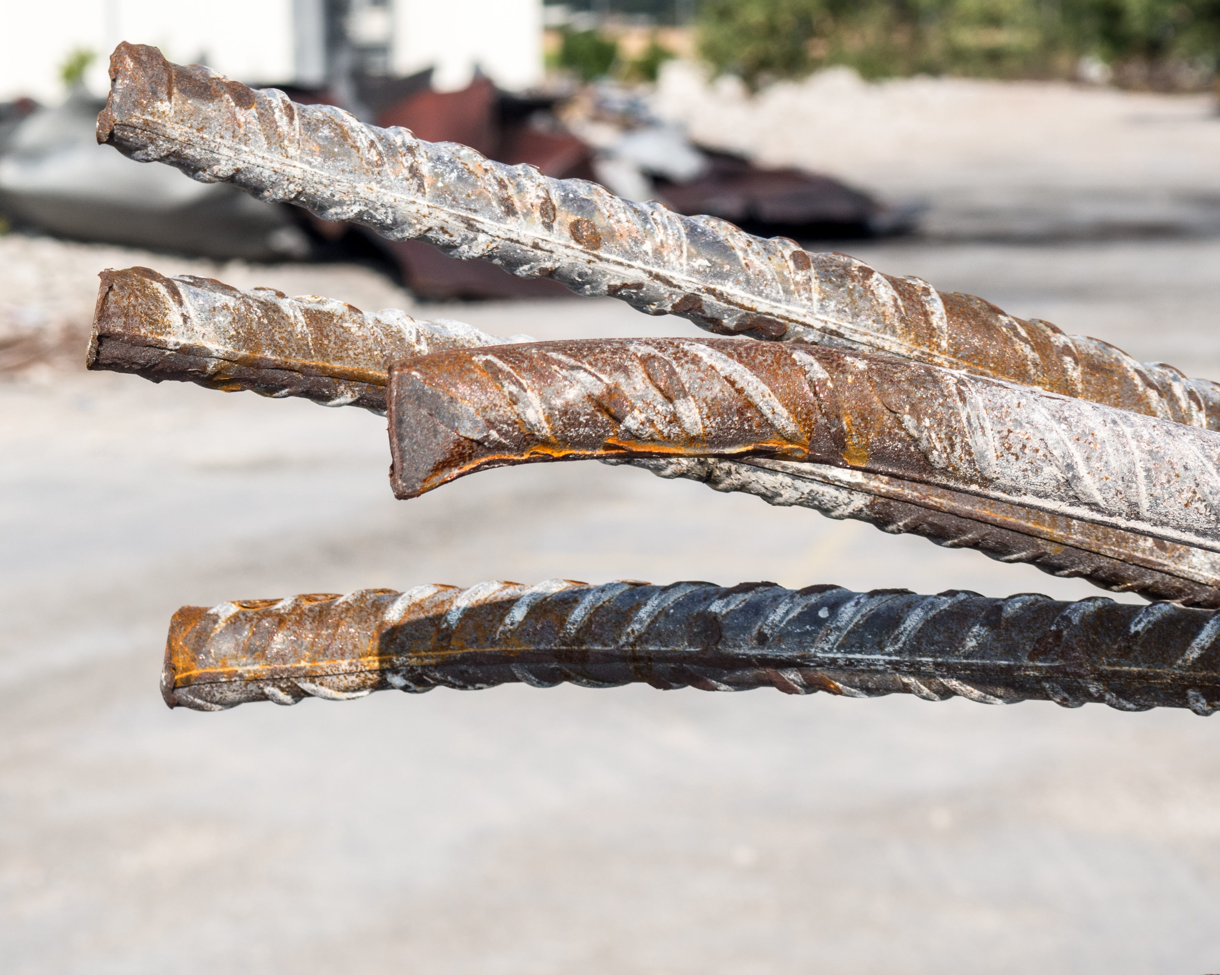 fish, 4K, nature, steel bars, focus on foreground, food and drink ...