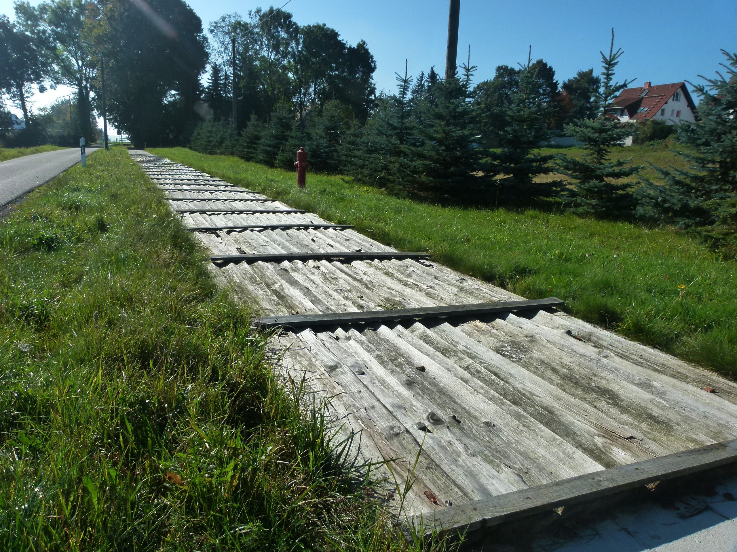 outdoors, plant, art dig, field, train at freiberg, sky, grass, wood ...